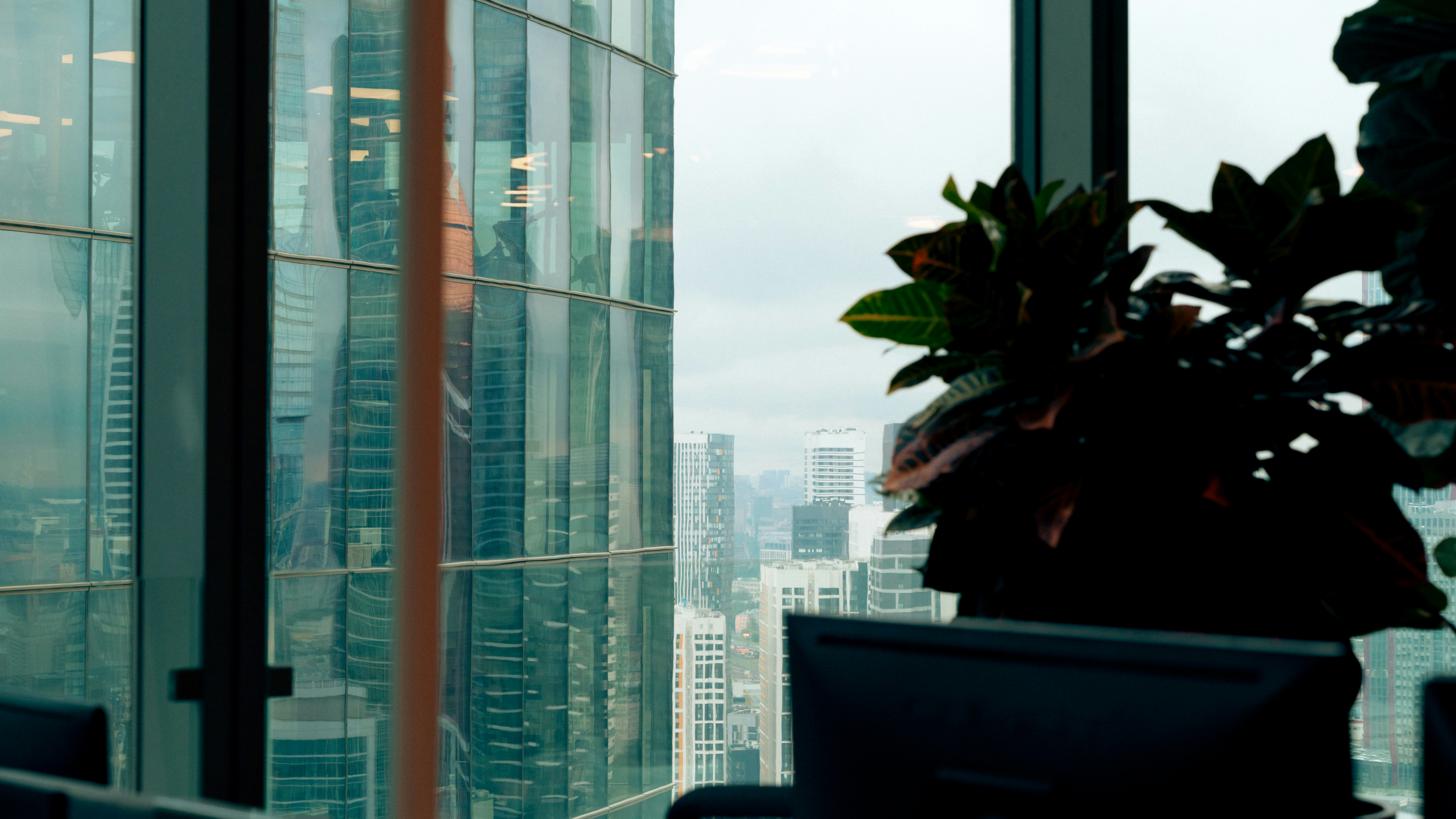 Urban View Through Glass: A Quiet Corner with Foliage and Skyline
