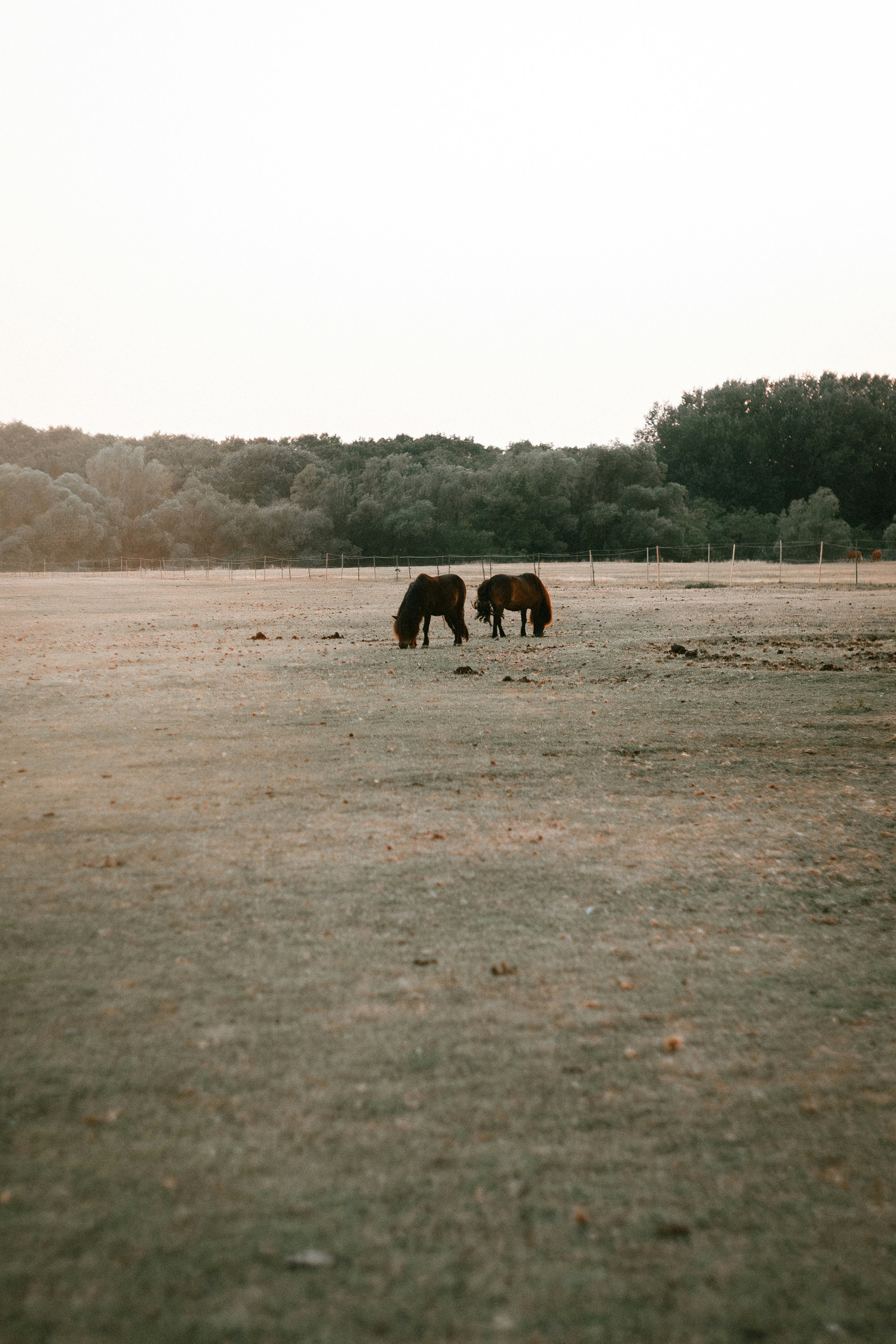Photo by Laszlo Barta with Sony Alpha 7C
