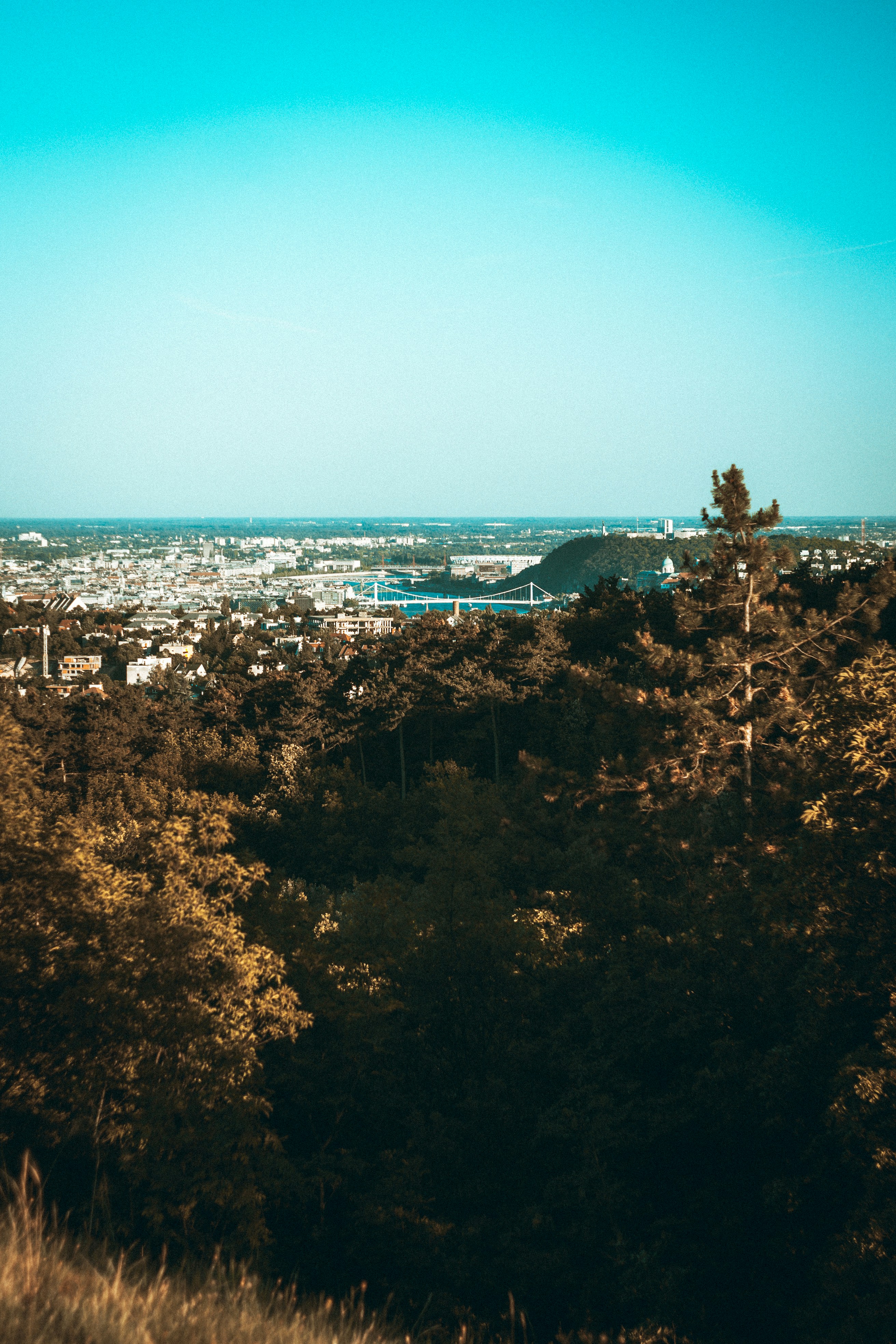 City Skyline Peeking Through the Hills at Dusk
