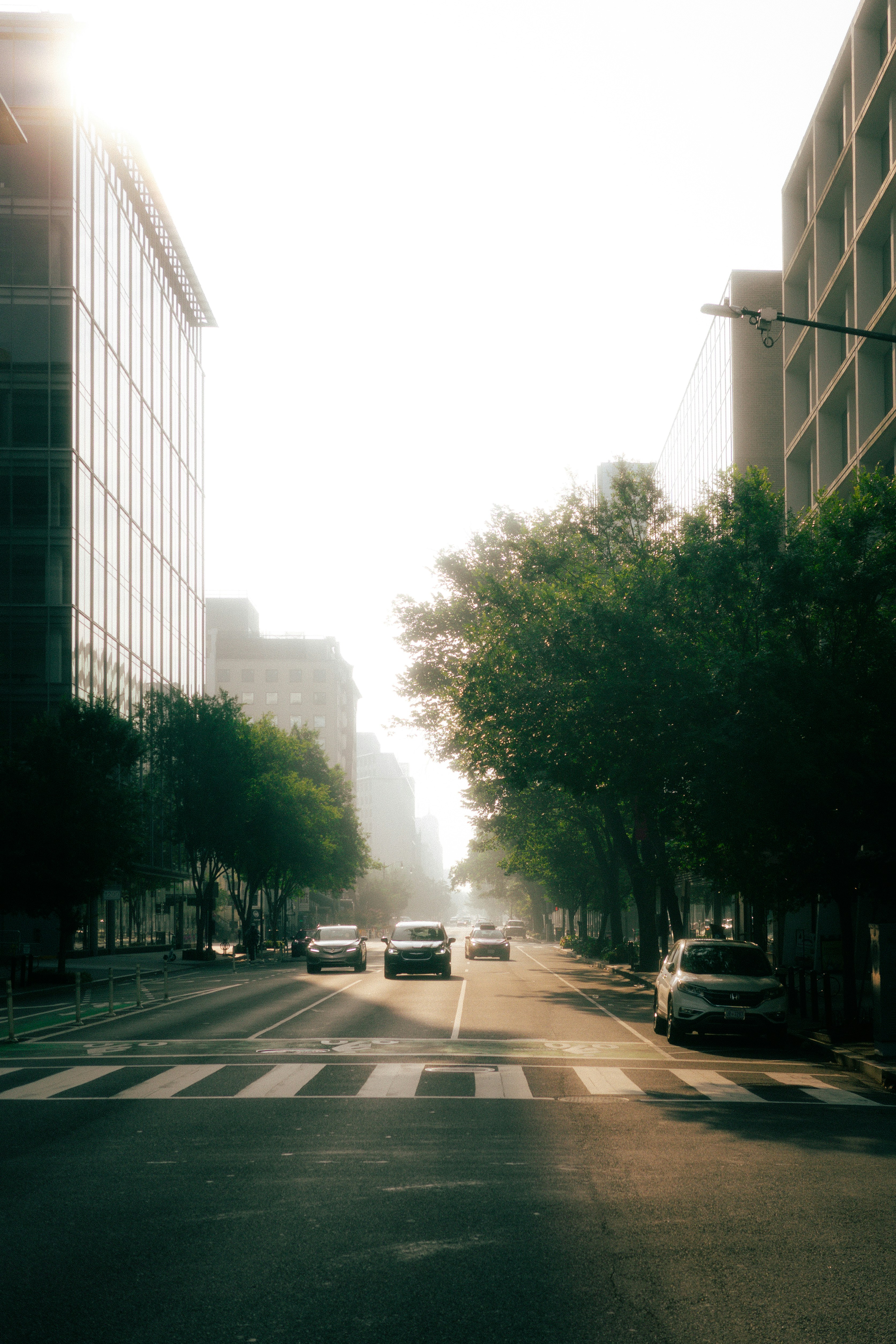 Early-morning city street with trees lining both sides and cars moving along a sunlit avenue; a tranquil urban corridor captured with soft haze and cinematic contrast. (Photo appears as a street scene, not a logo or illustration).