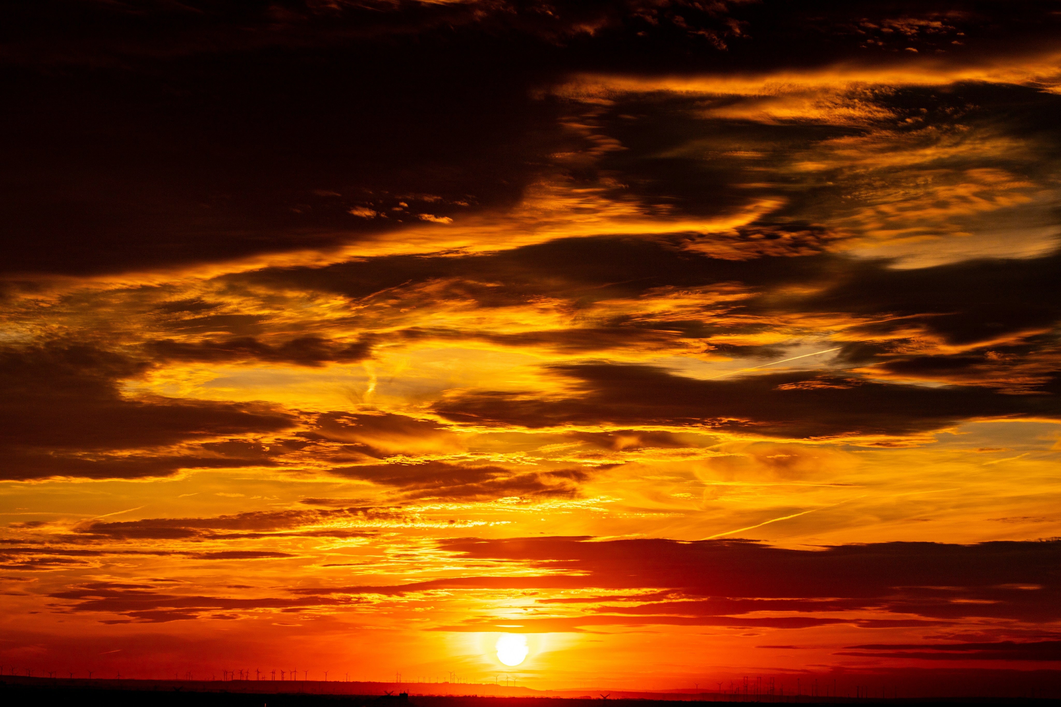 Fiery Horizon: The Quiet Moment at Dusk