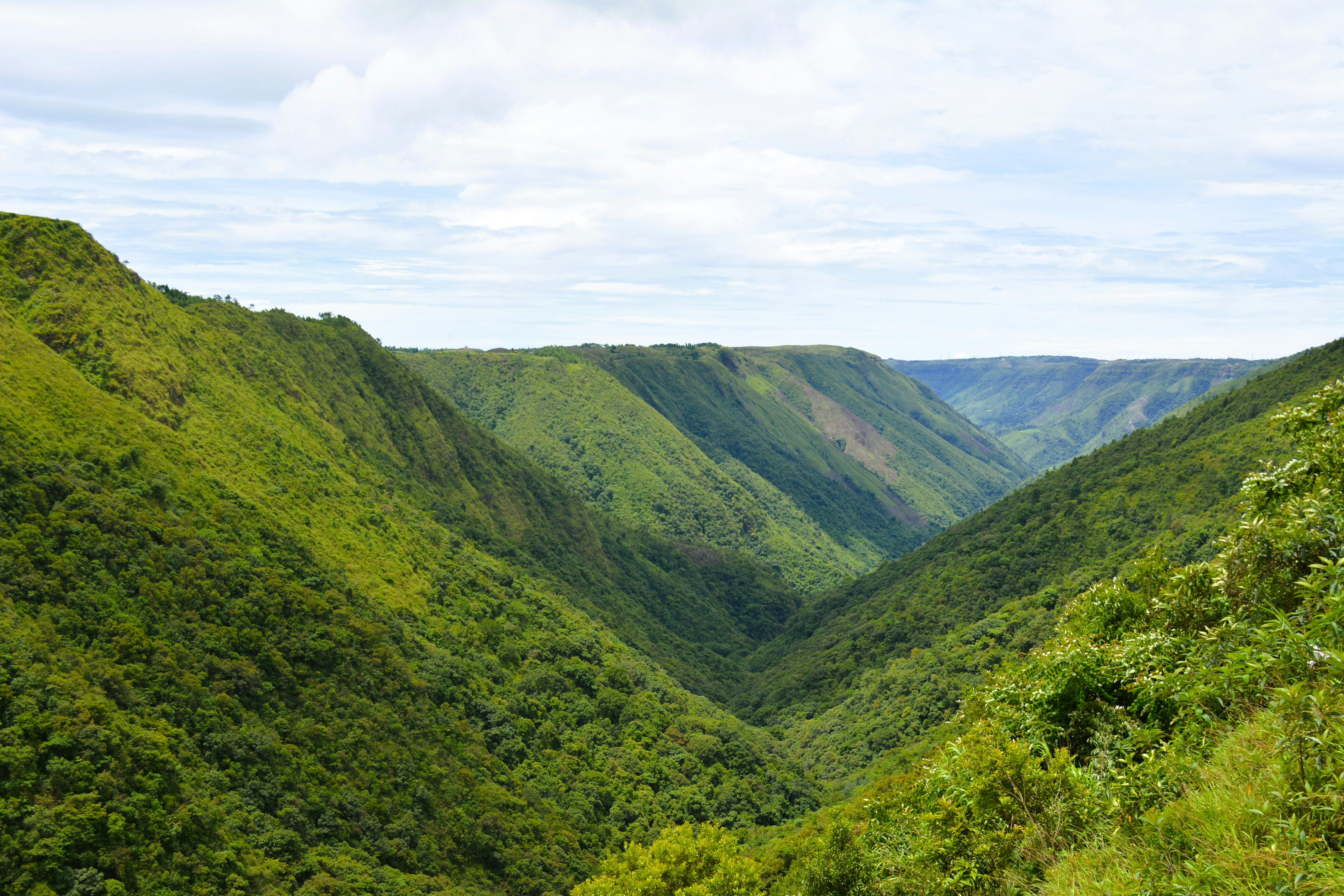 Emerald Vales: A Green Glen Between Ridges
