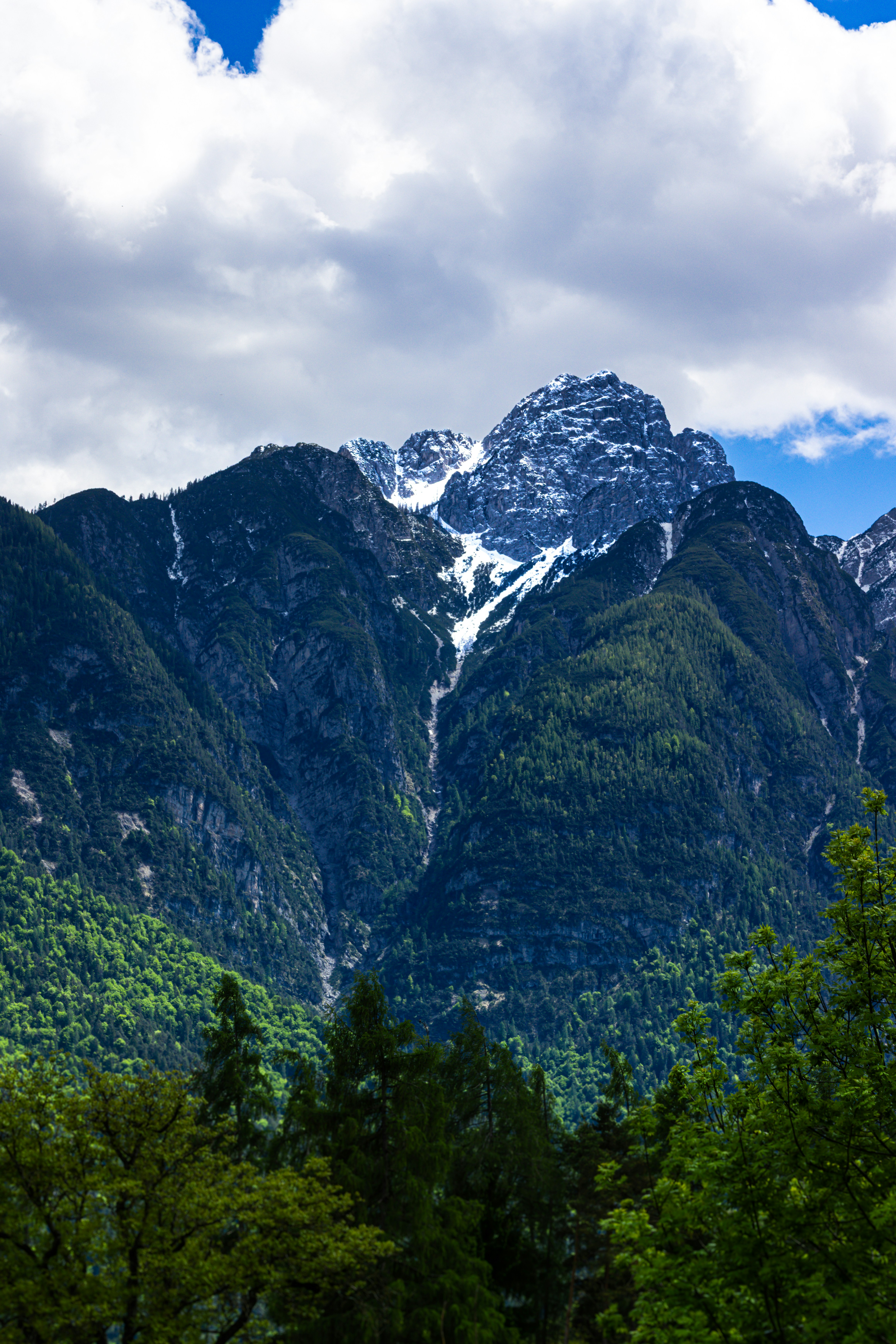 Snow-capped Peak Reaching Above a Forested Ridge