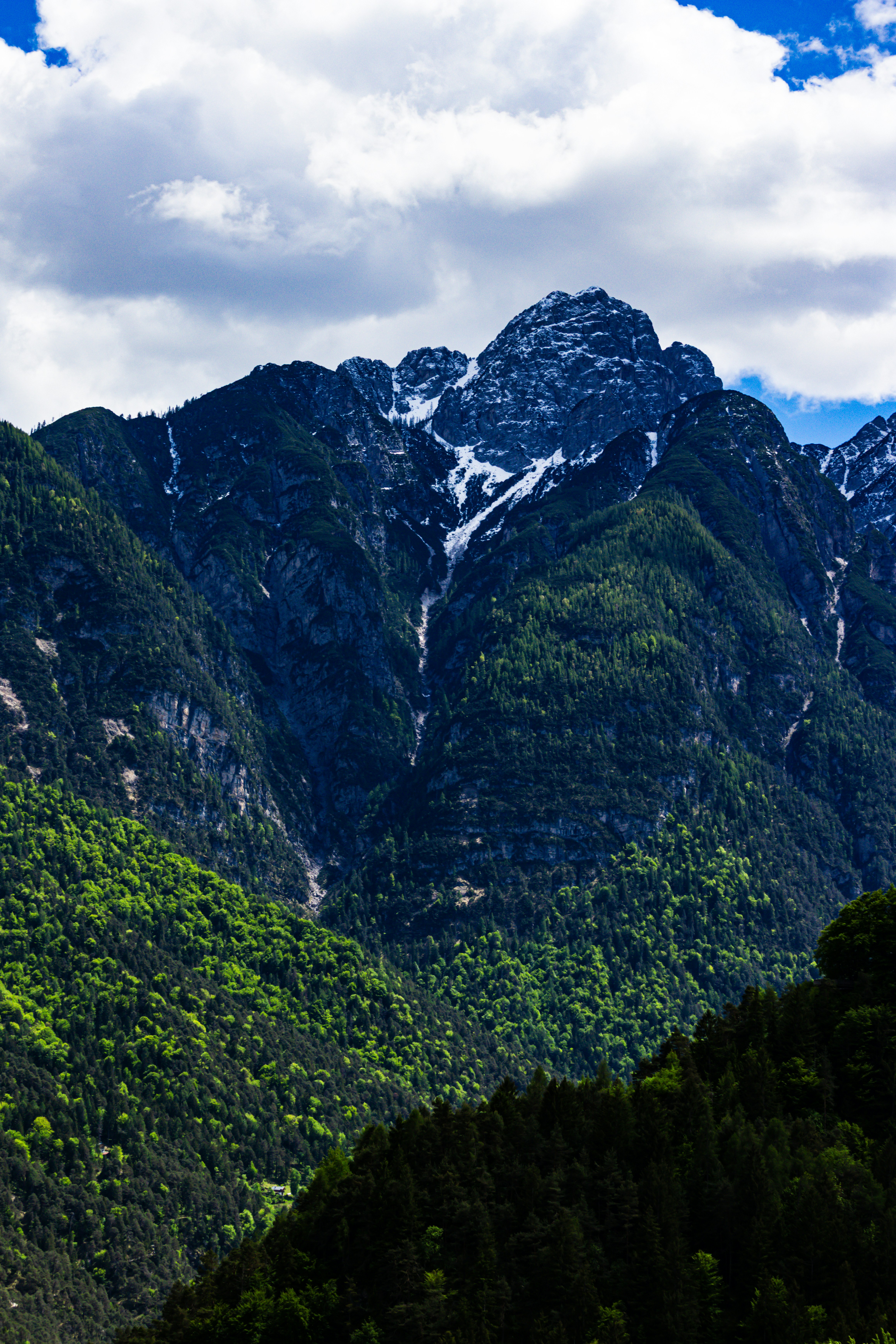 Snow-dusted peak rising over emerald forested slopes