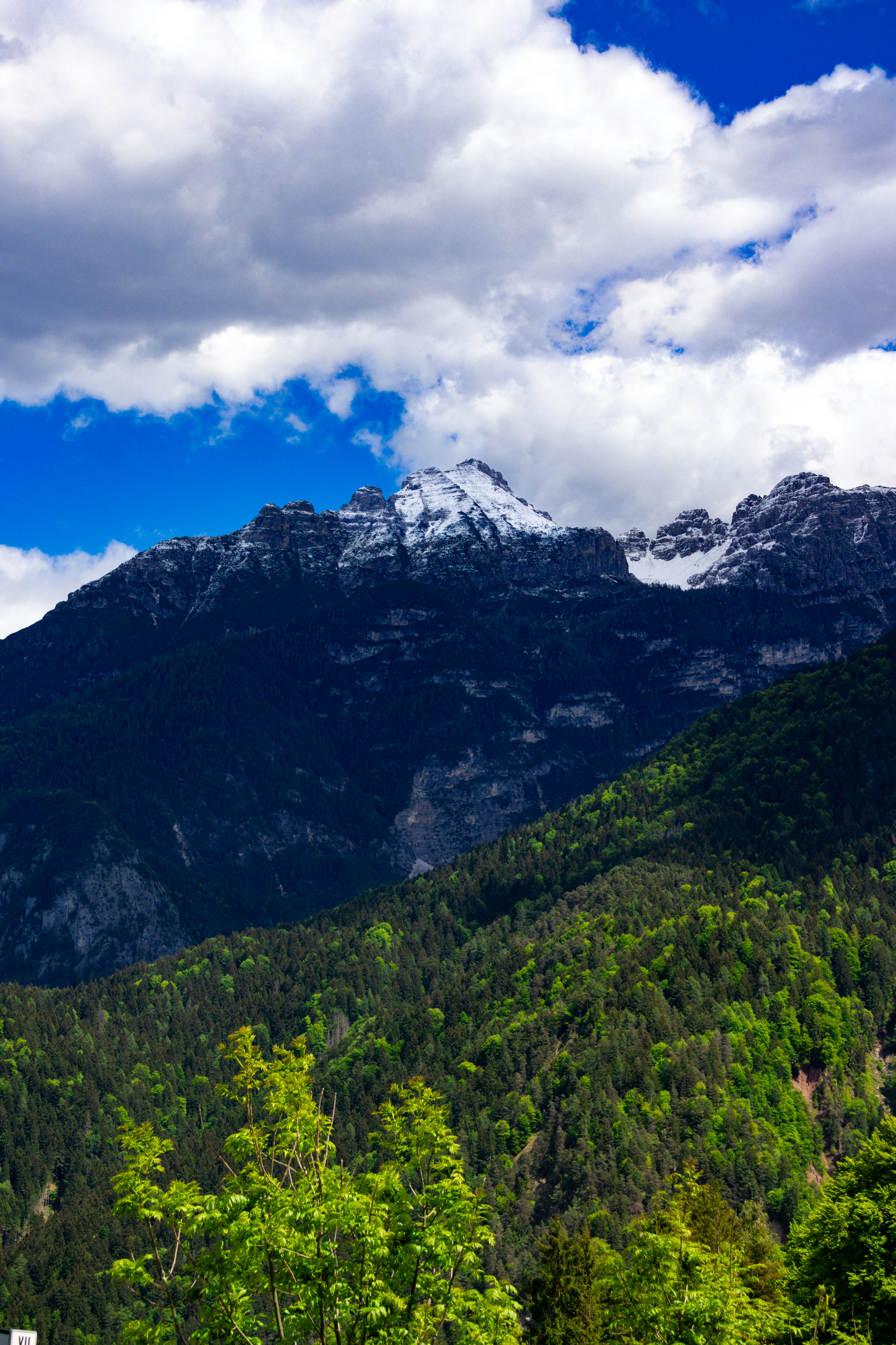 Snow-dusted peaks over a pine-speckled valley