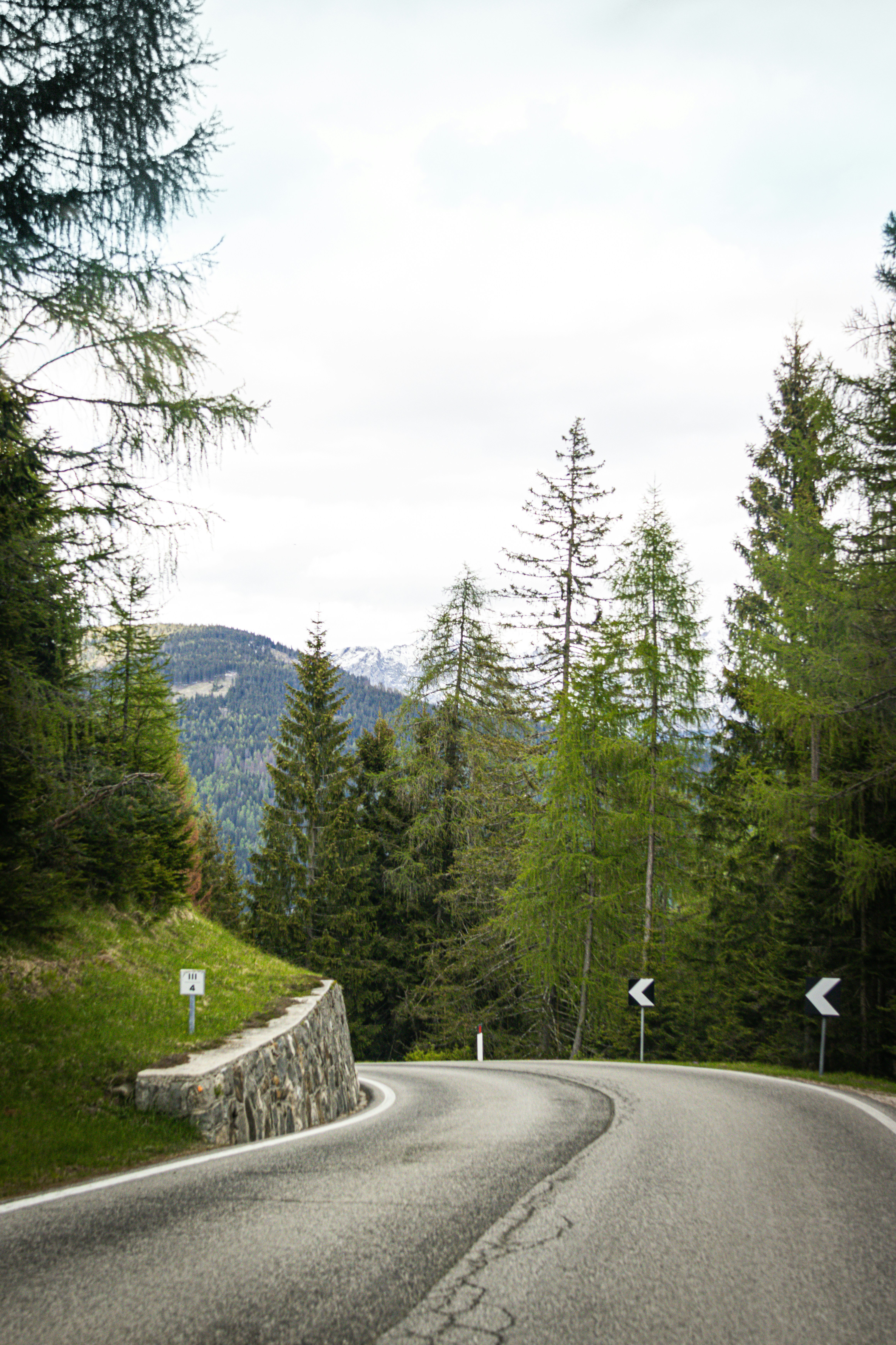 Curved Mountain Bend: A Quiet Drive through Pines