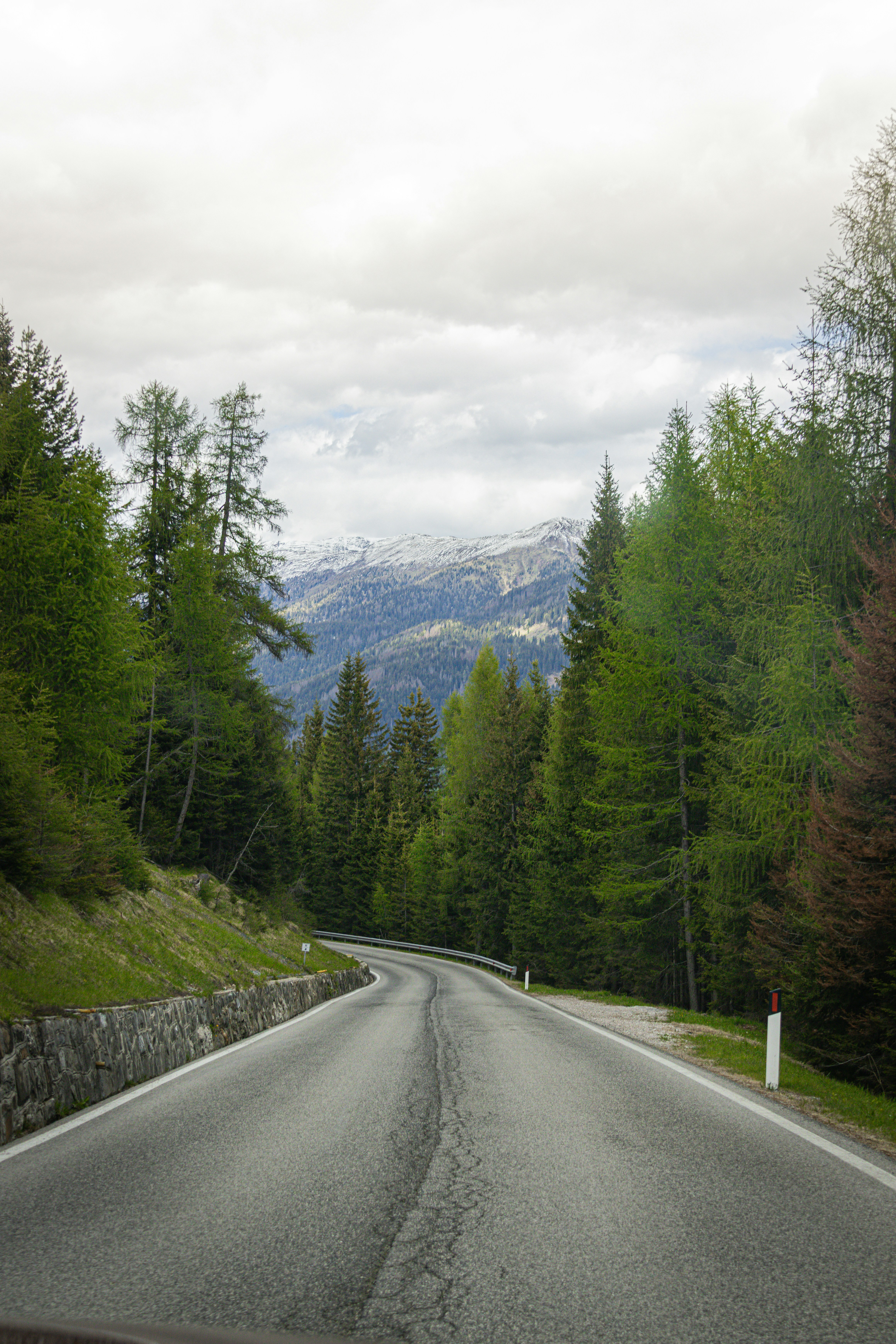 Mountain Pass Road Through Evergreen Gate