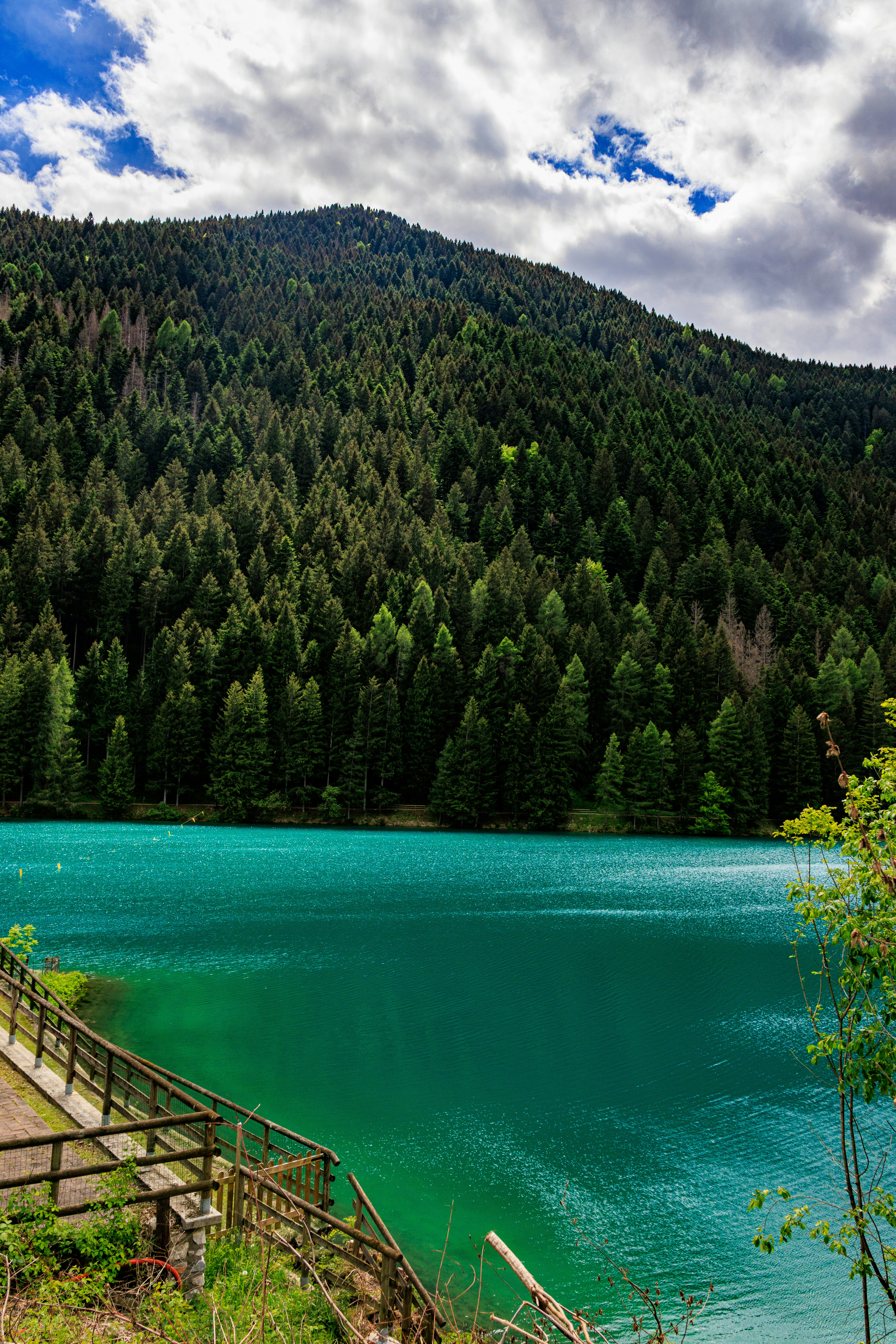 Emerald Lake at the Forested Basin