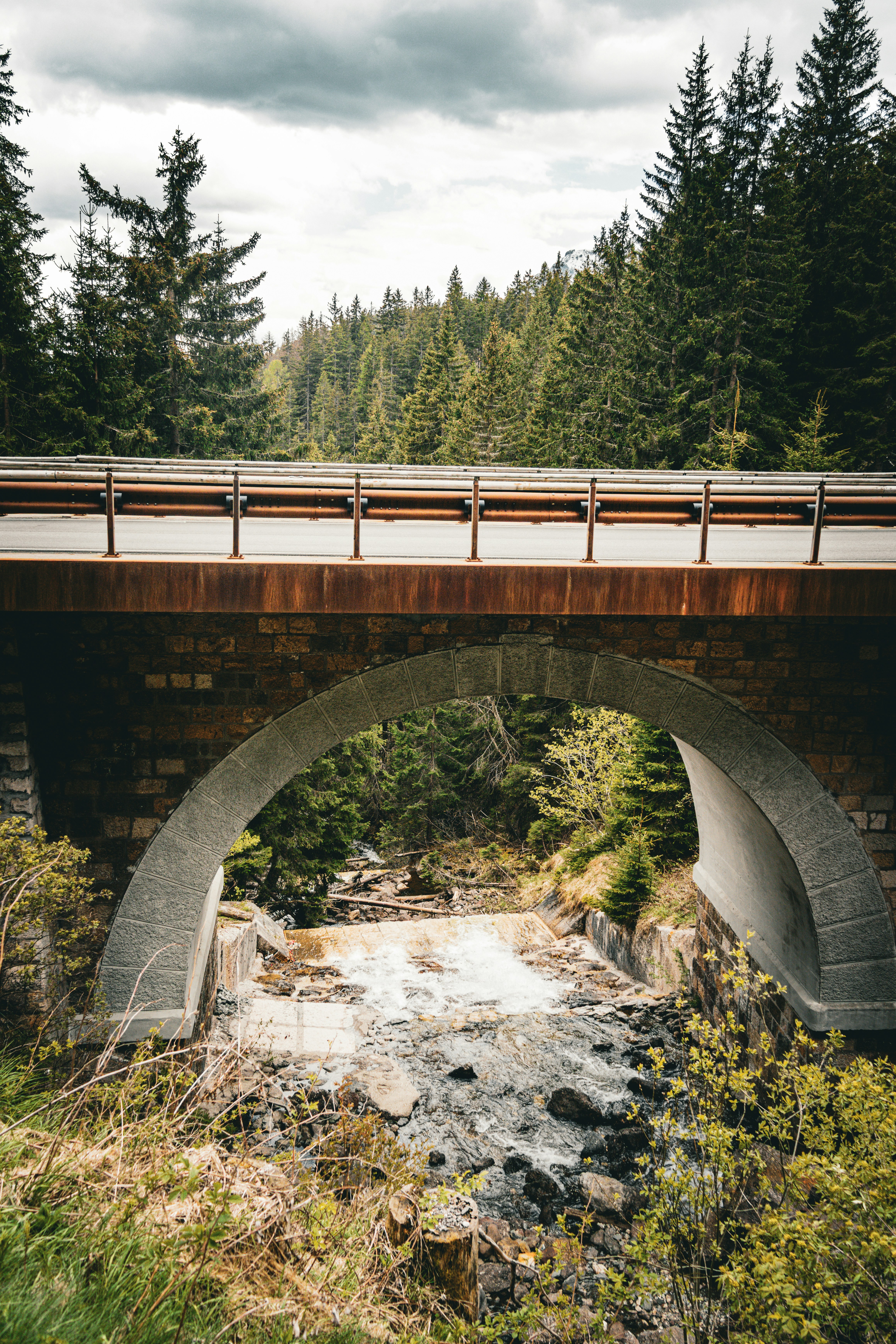 Bridge Arch Over a Forest River