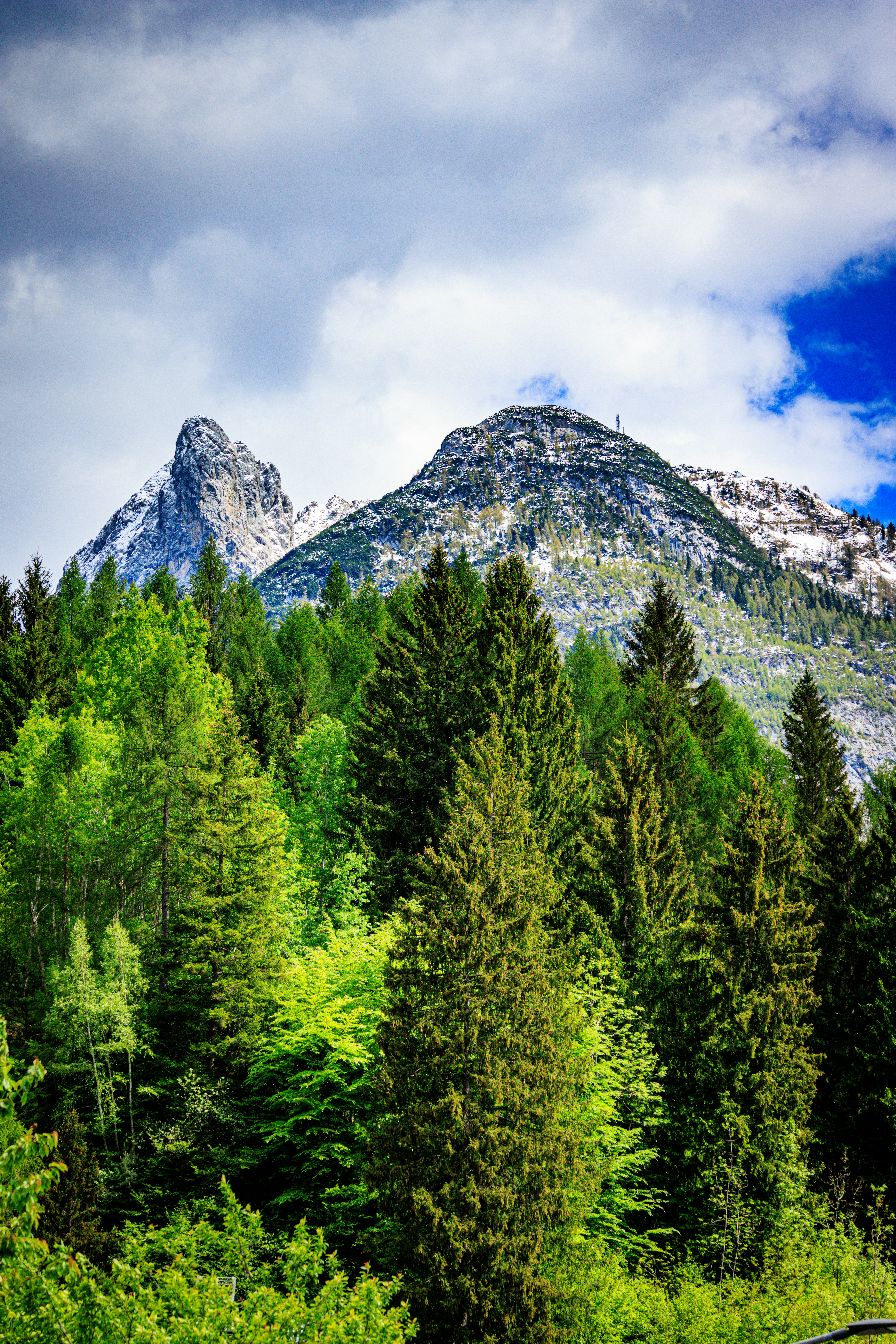 Snow-capped Peaks Rising Above a Lush Pine Valley