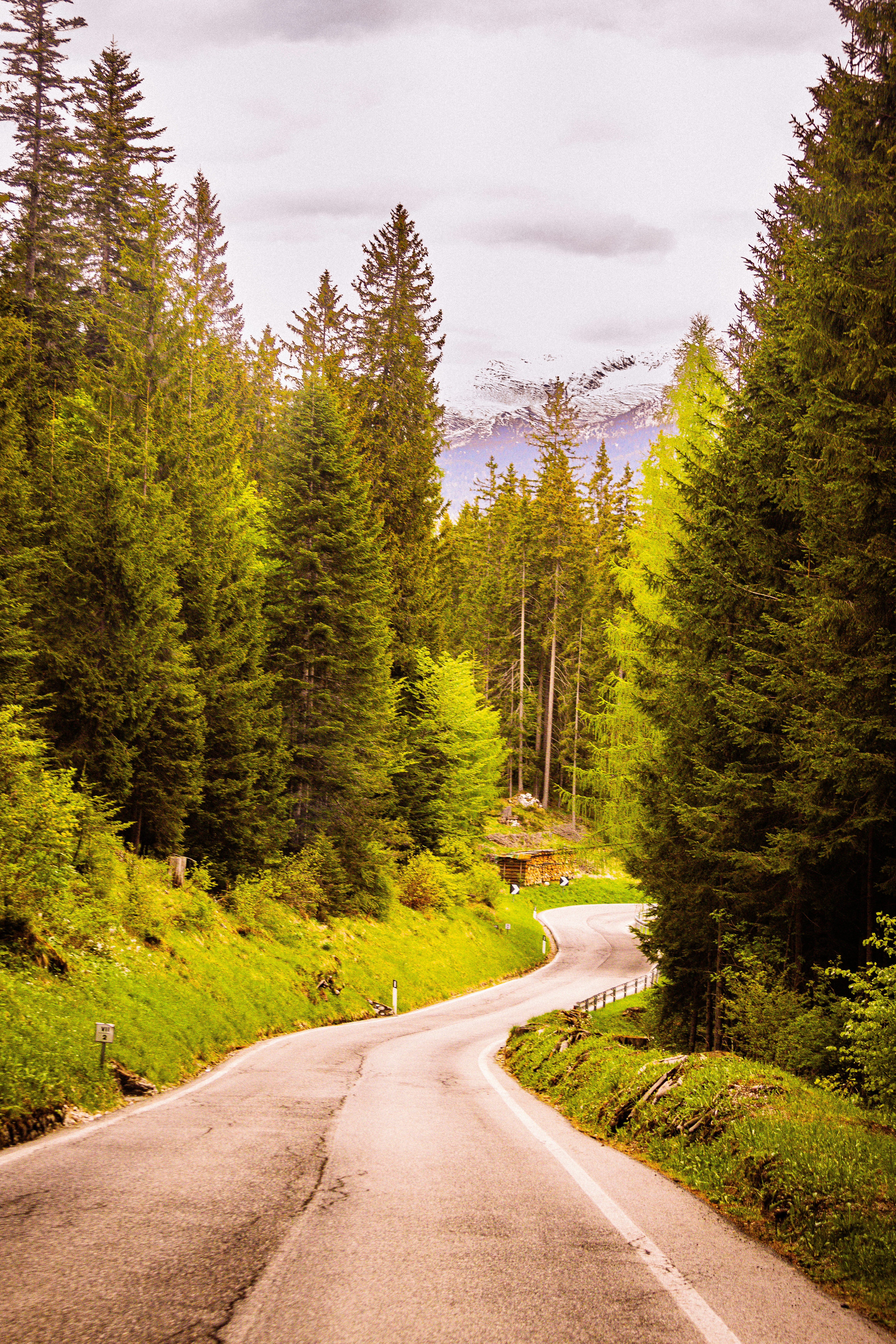 Winding Forest Road Toward Distant Snow-Dusted Peaks