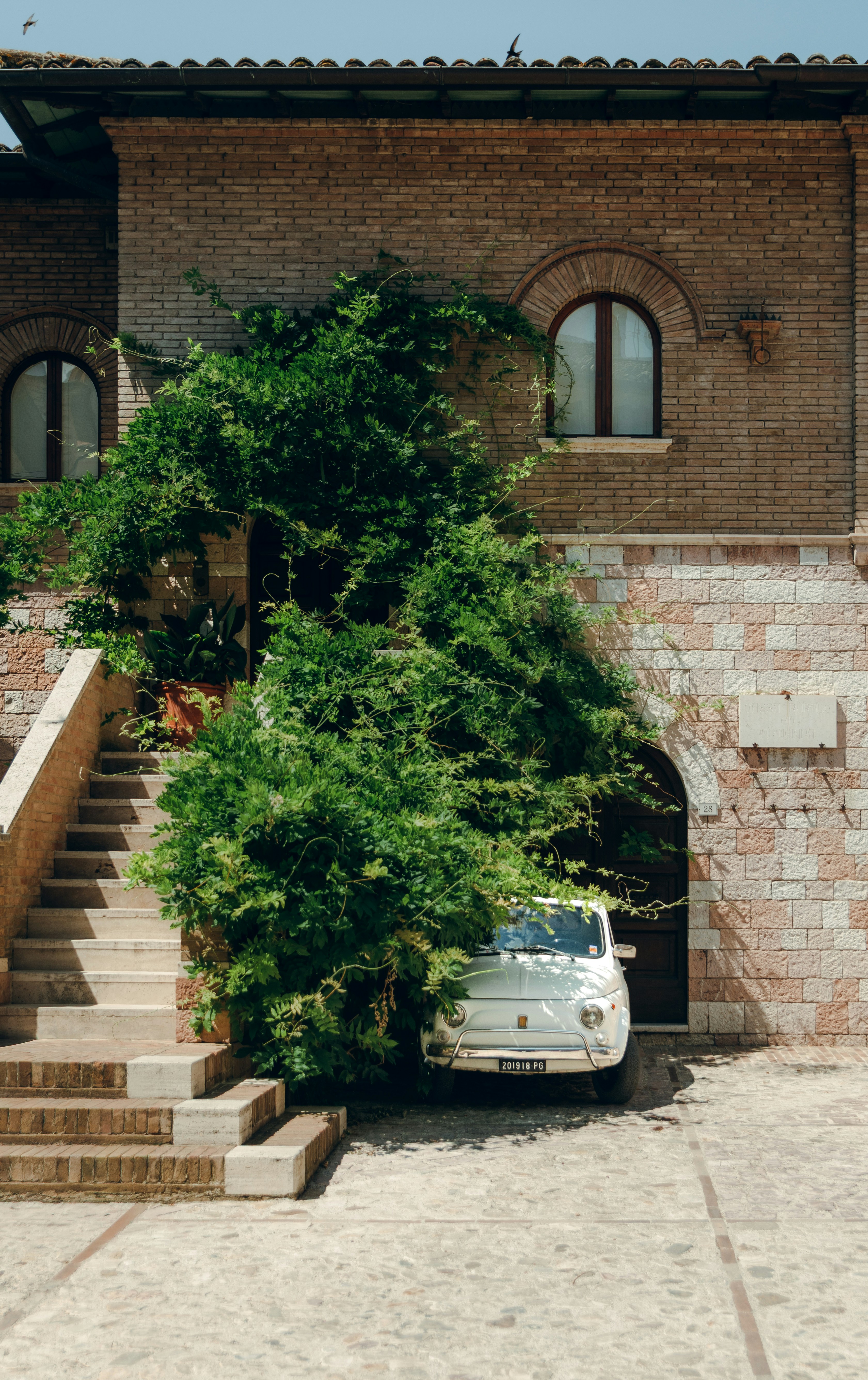 Overgrown Driveway: A Vintage Car Hidden Beneath a Verdant Veil