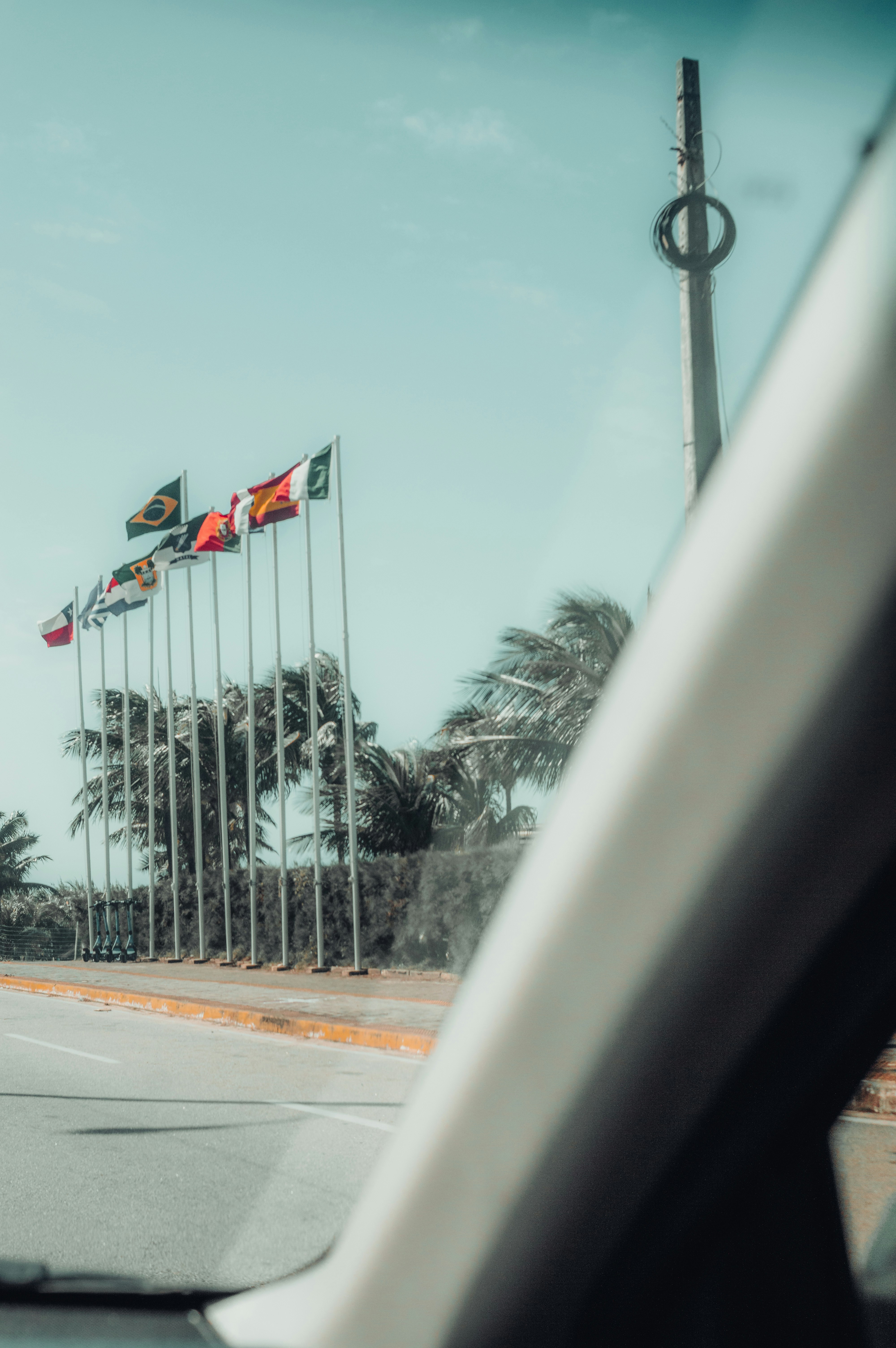 Flag Row at Dawn: Flags Surfing a Quiet Boulevard