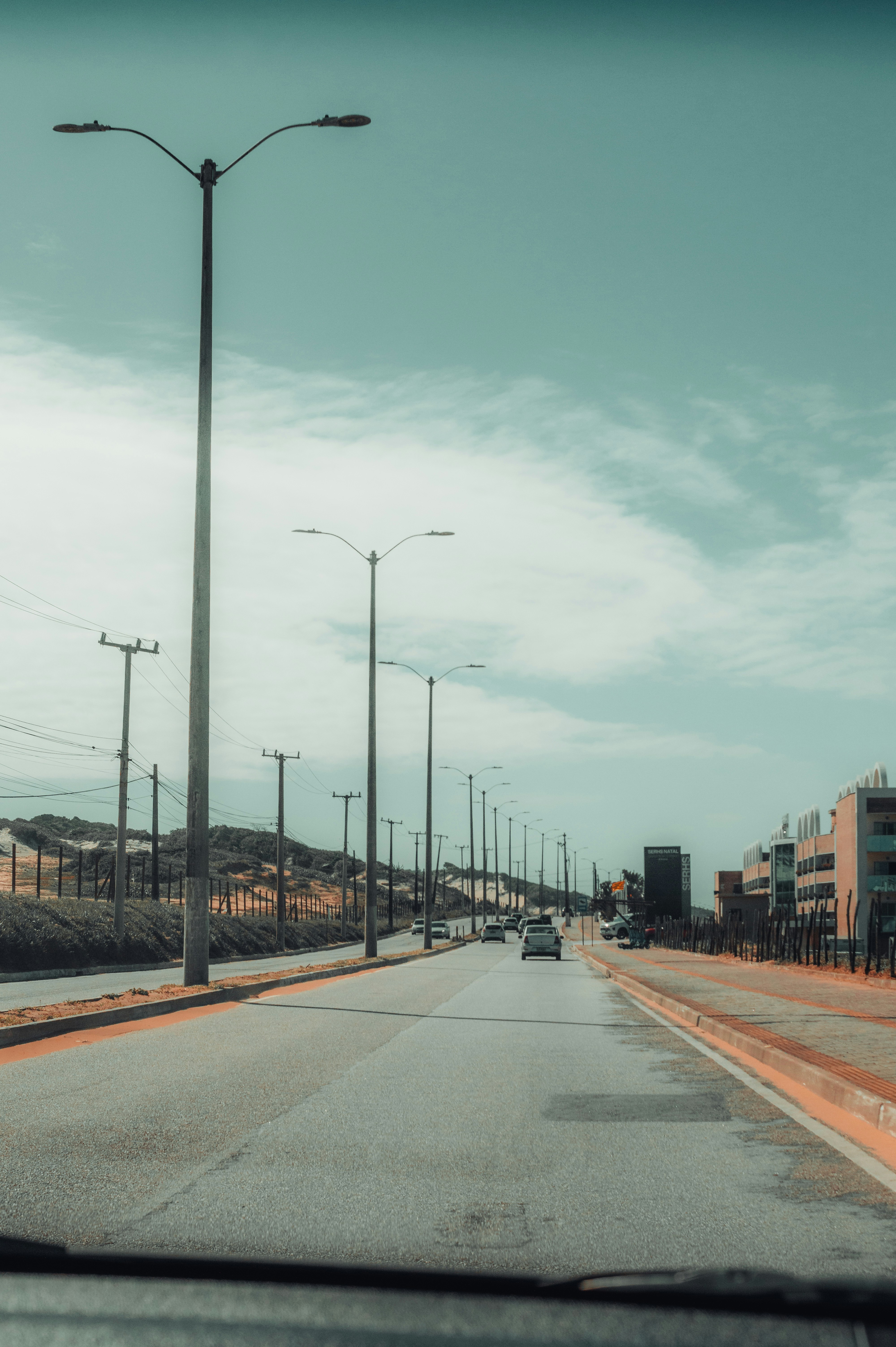 Midnight Avenue: Streetlights Leading the Long Road