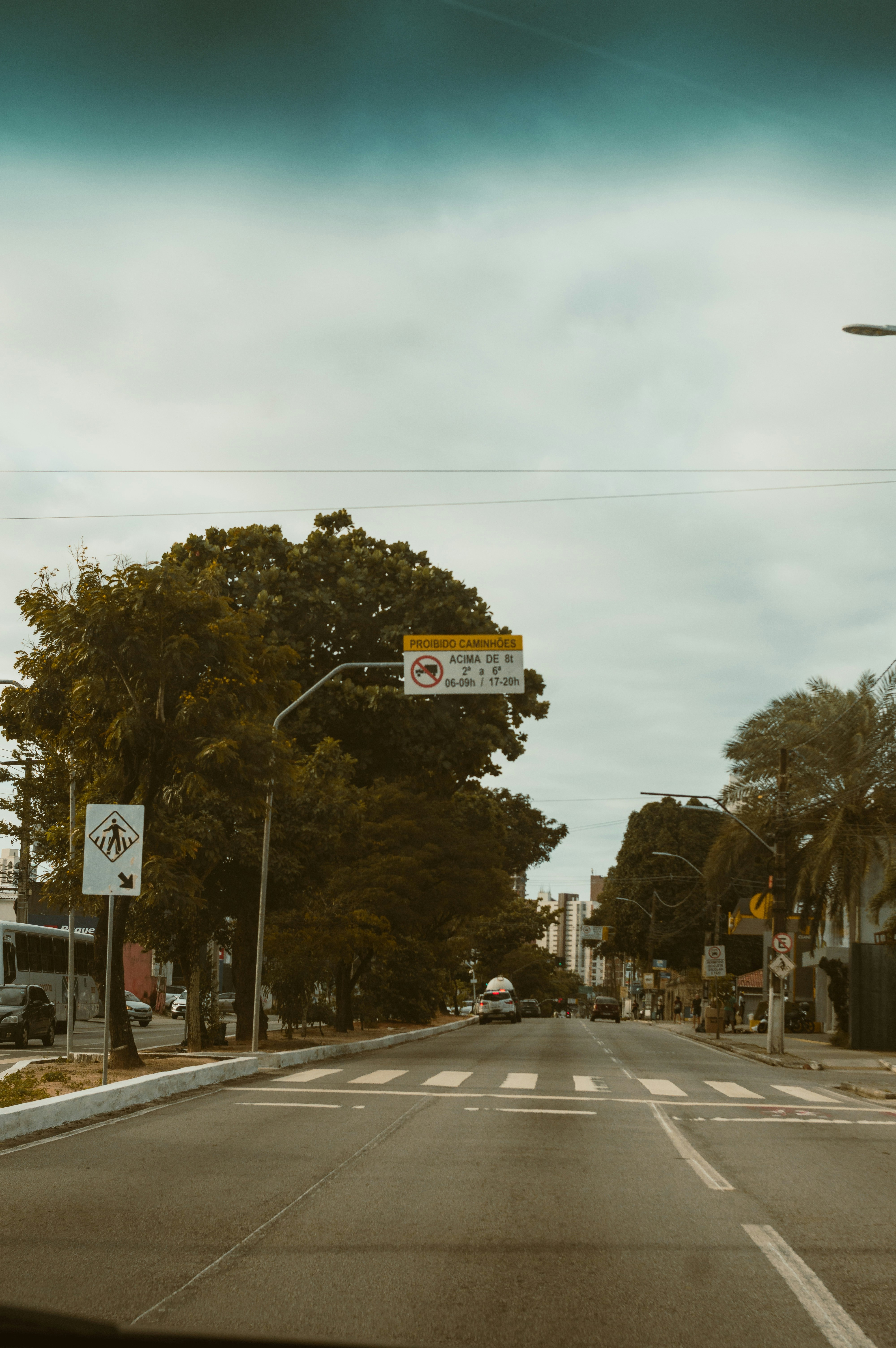 Urban Street Corridor: A Quiet Rhythm of Traffic Signs and Trees