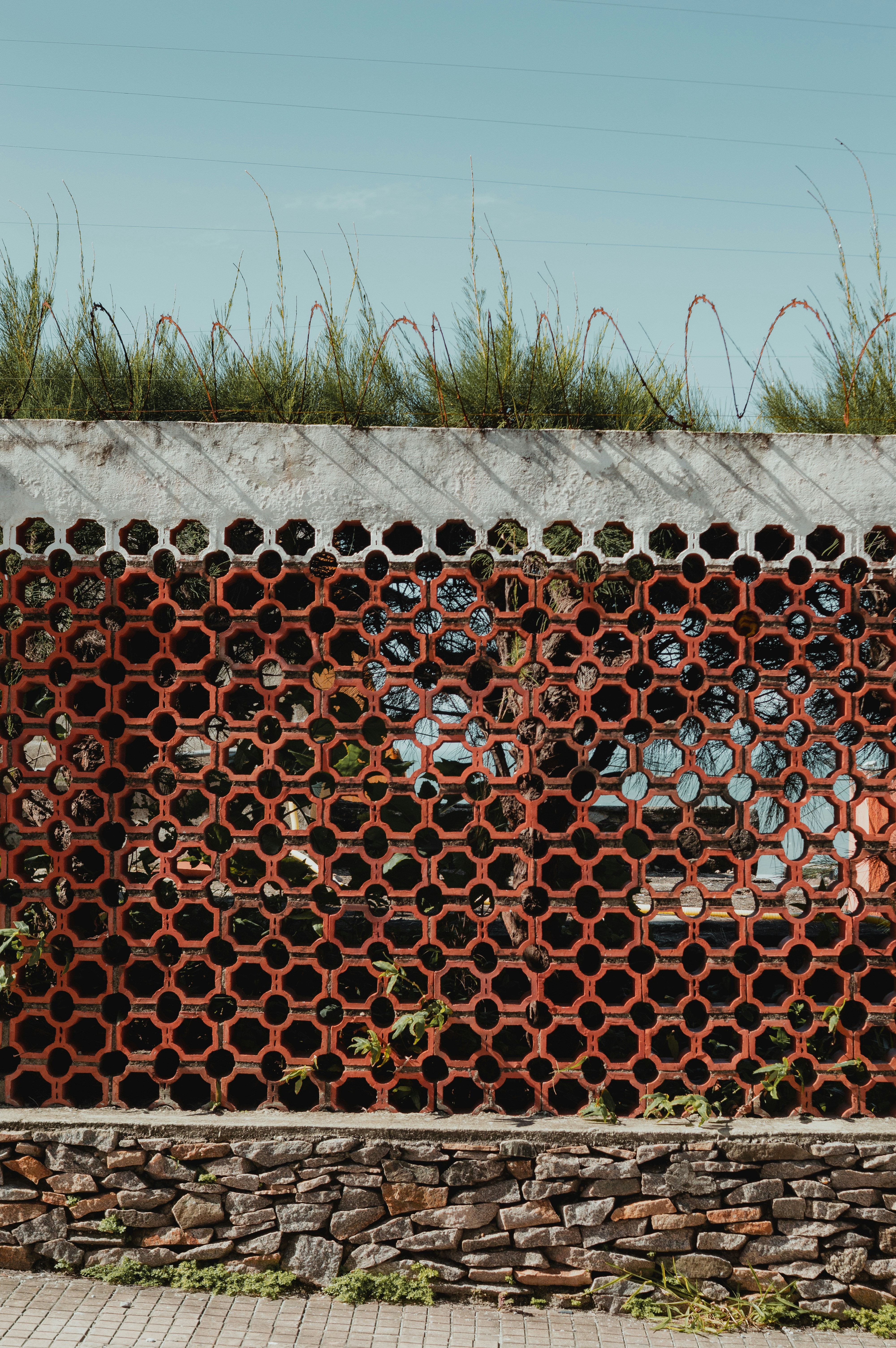 Hexagonal Fire: Vines & Iron Veins Through a Perforated Wall