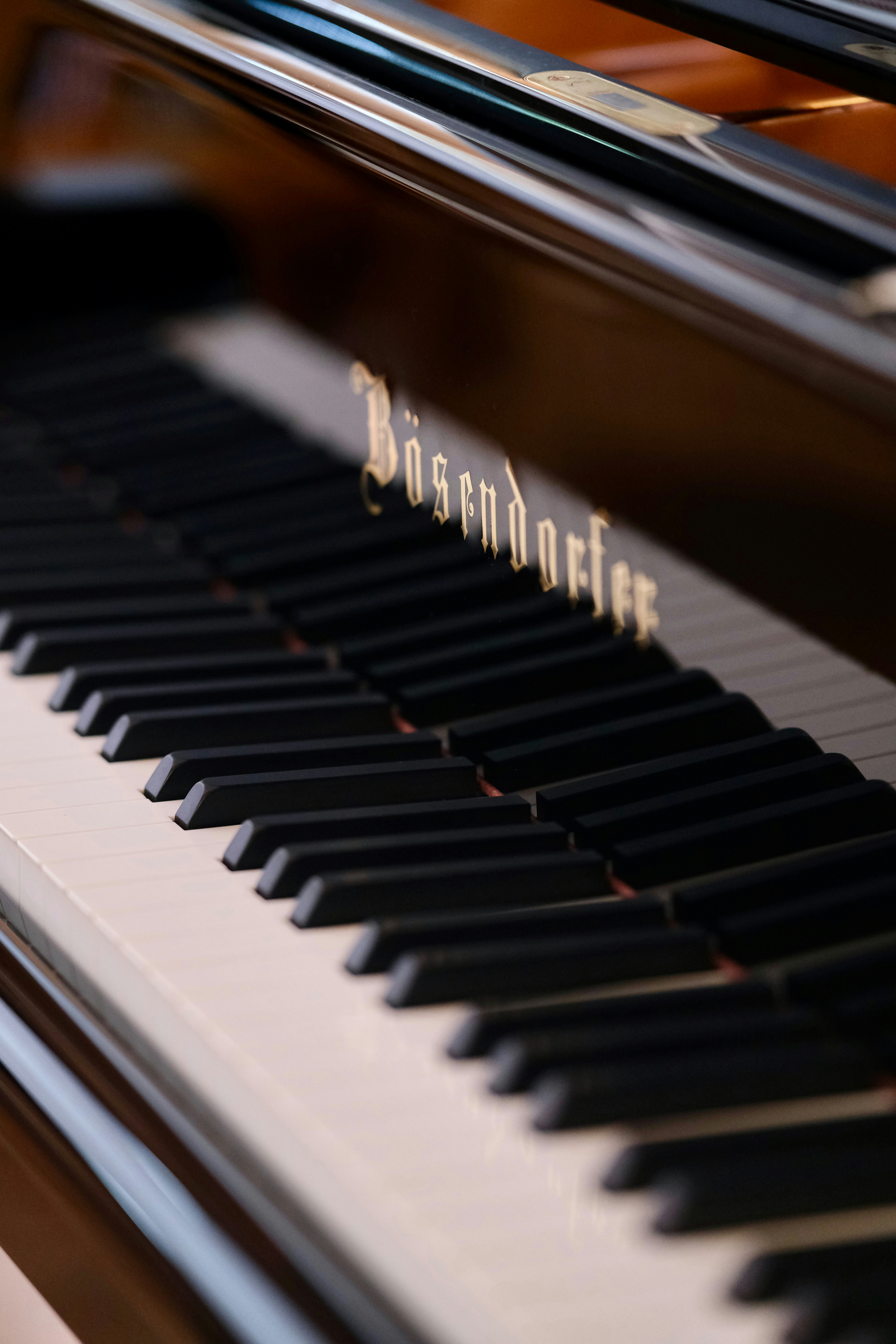 Ivory Keys in Focus: A Glimpse of the Steinway Script