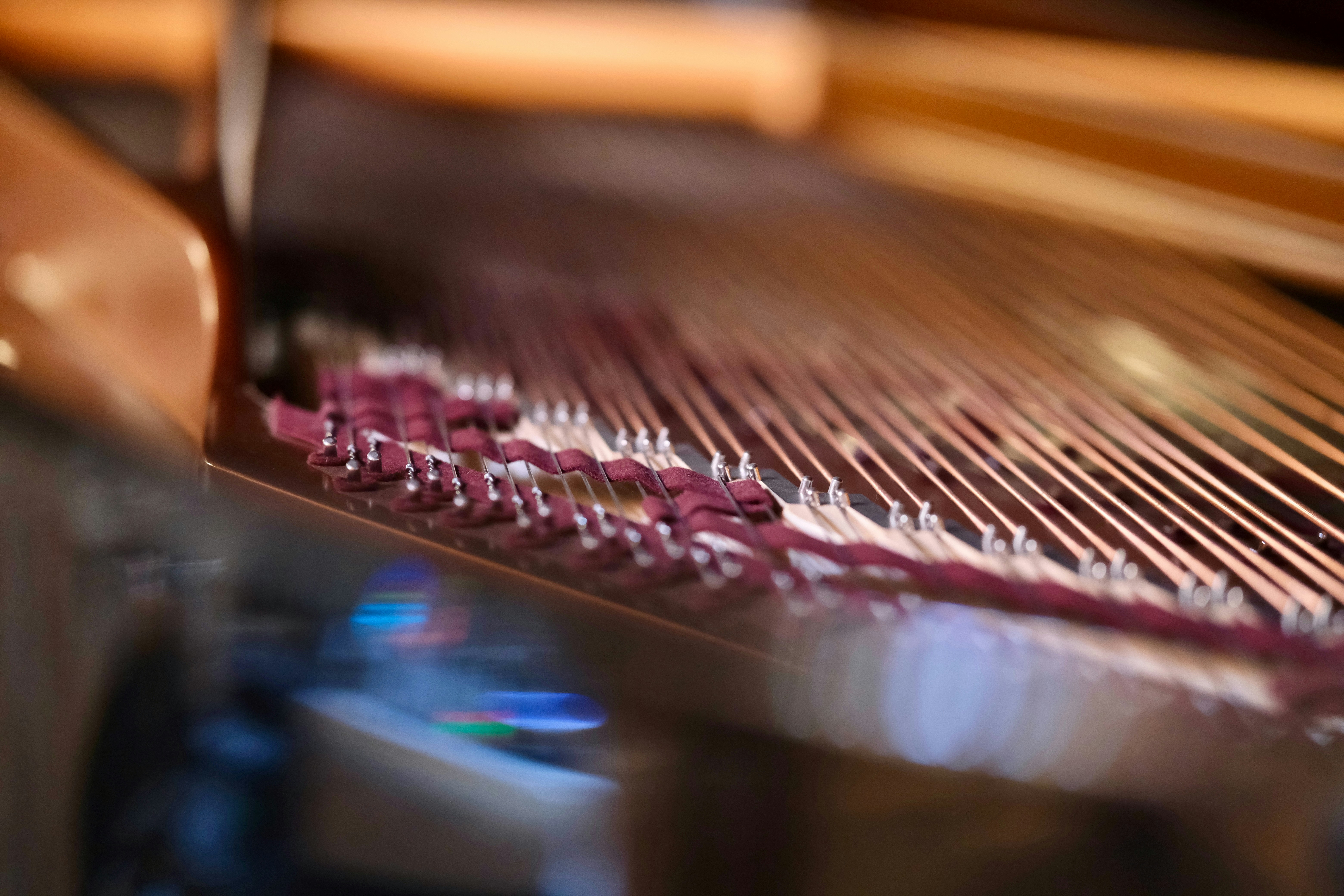 Strings in Motion: Inside a Velvet Grand