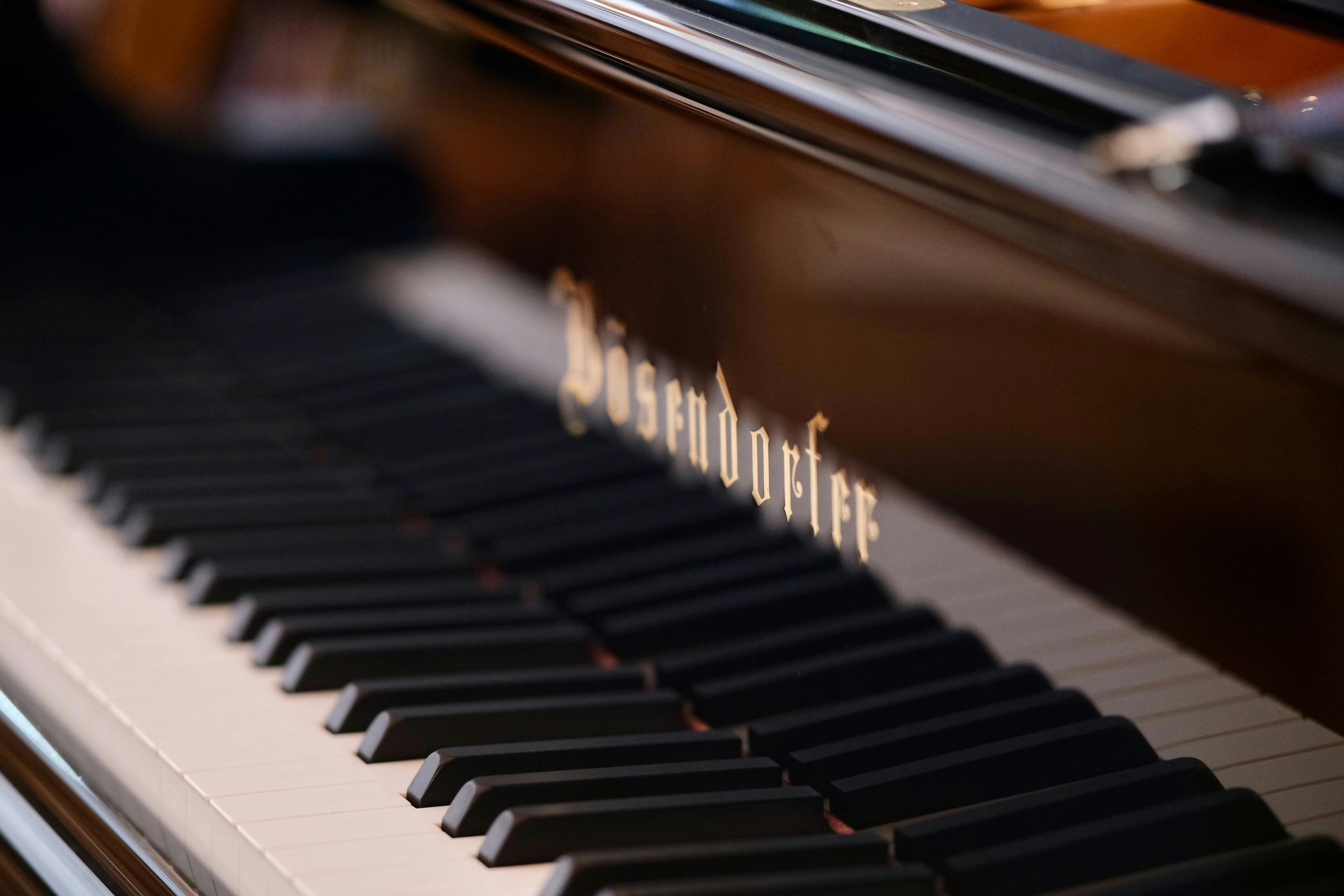 Echoes Between Black and White: Keys of a Gentle Piano