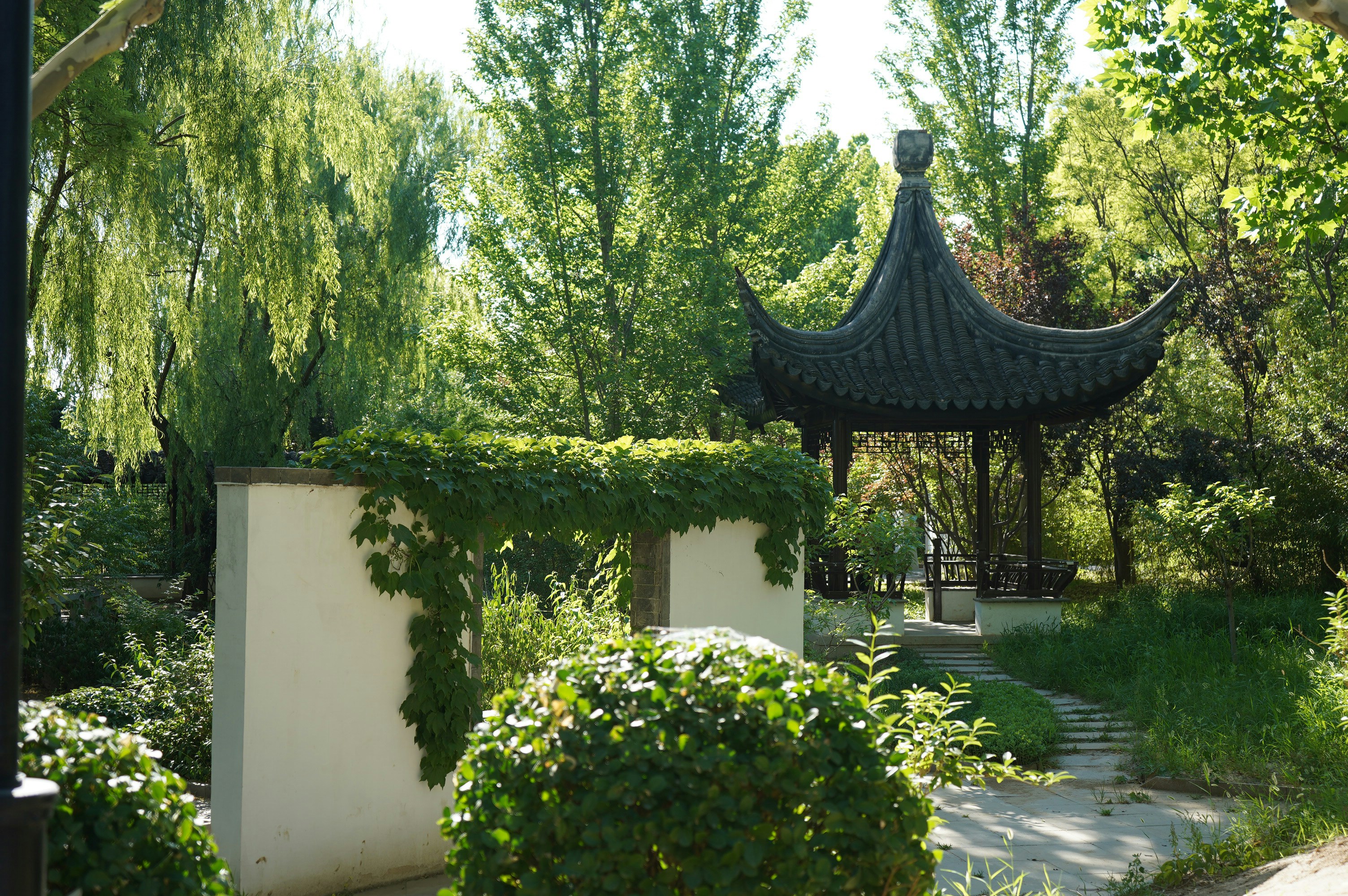 Serene Chinese Garden Pavilion Amid Lush Greenery