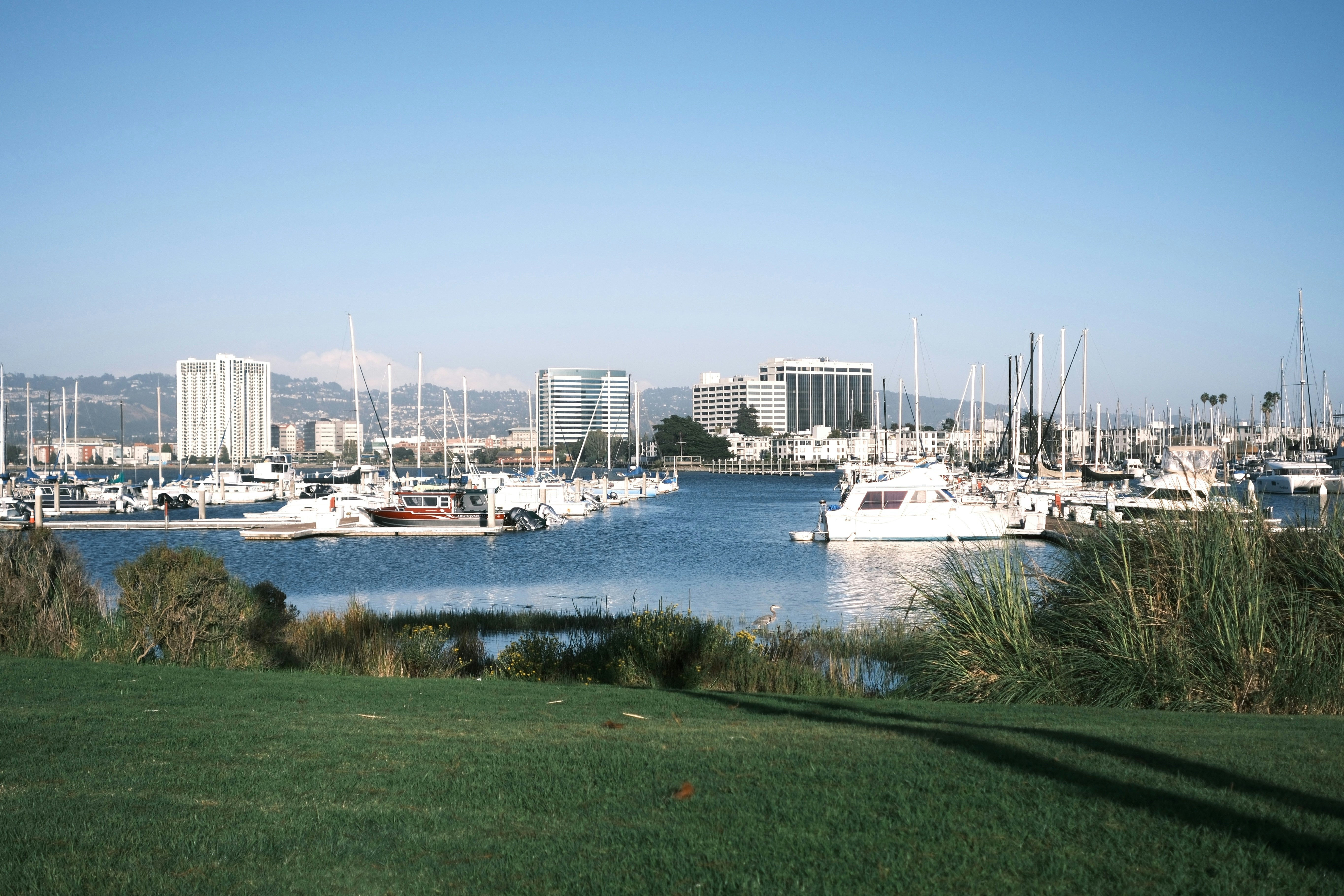 Harbor Vistas: Boats Rest at Dusk with Cityscape Backdrop