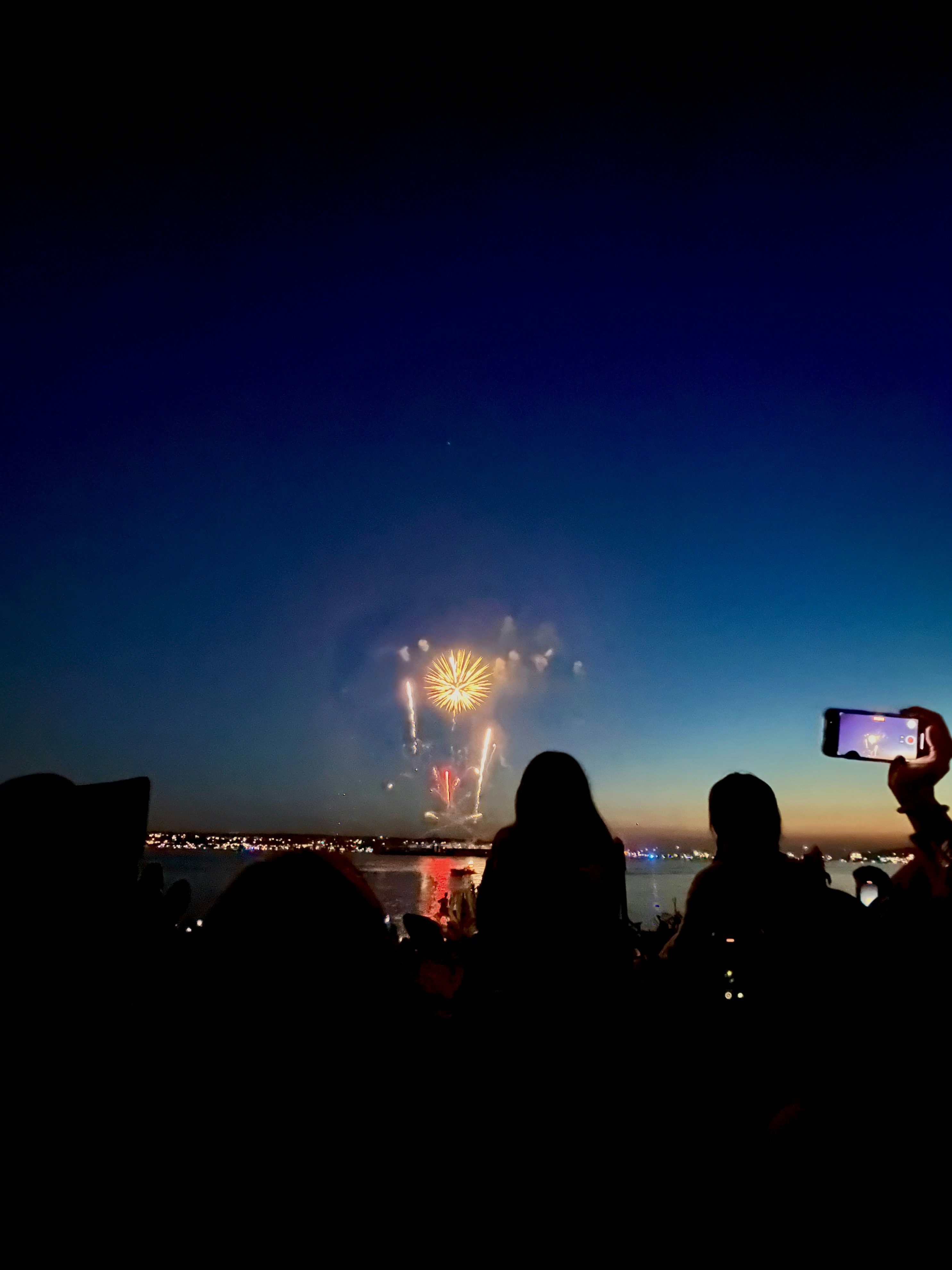 Midnight Harbor: Fireworks Above silhouettes
