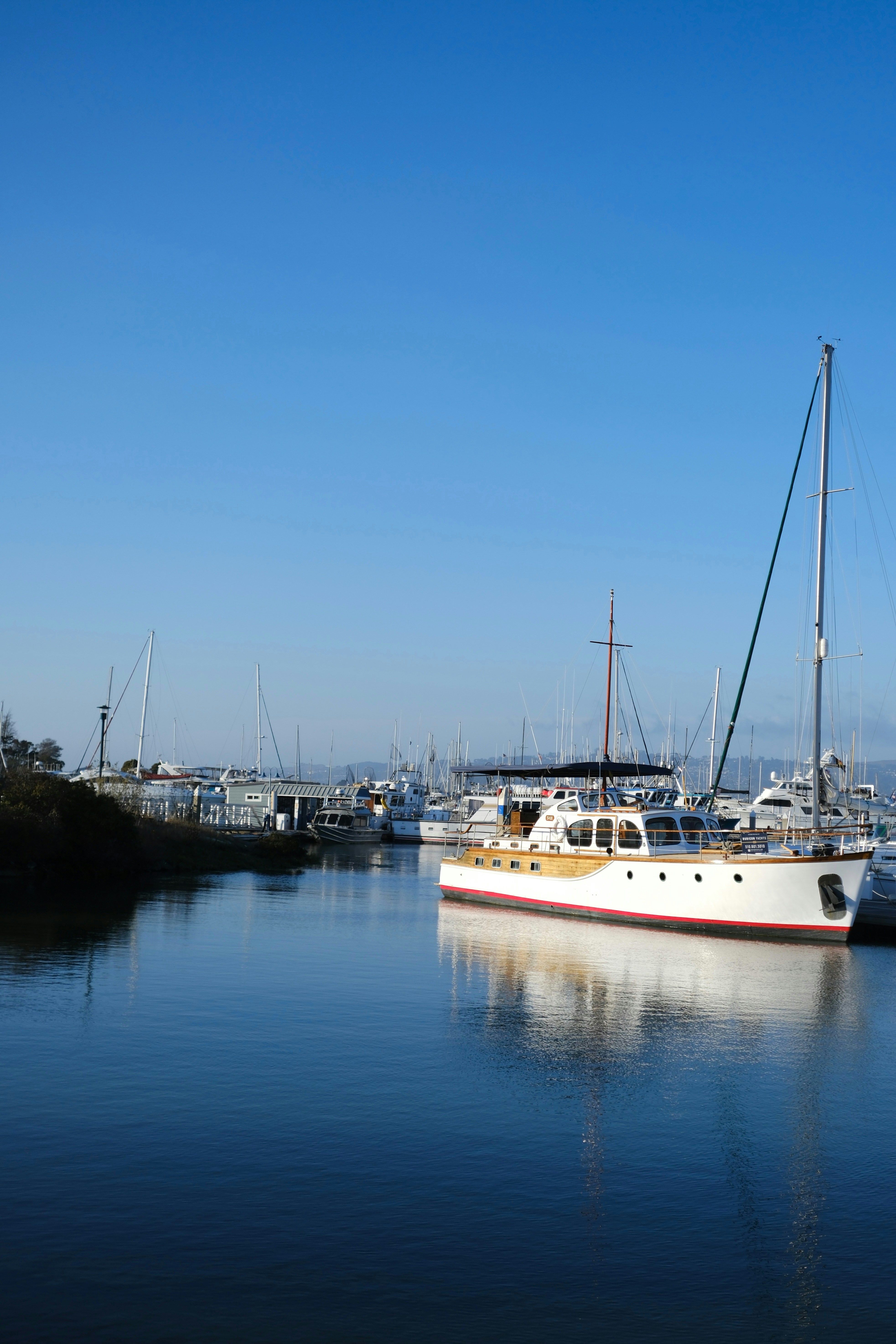 Sailboats at Dusk: A Quiet Marina in Calm Blue Light
