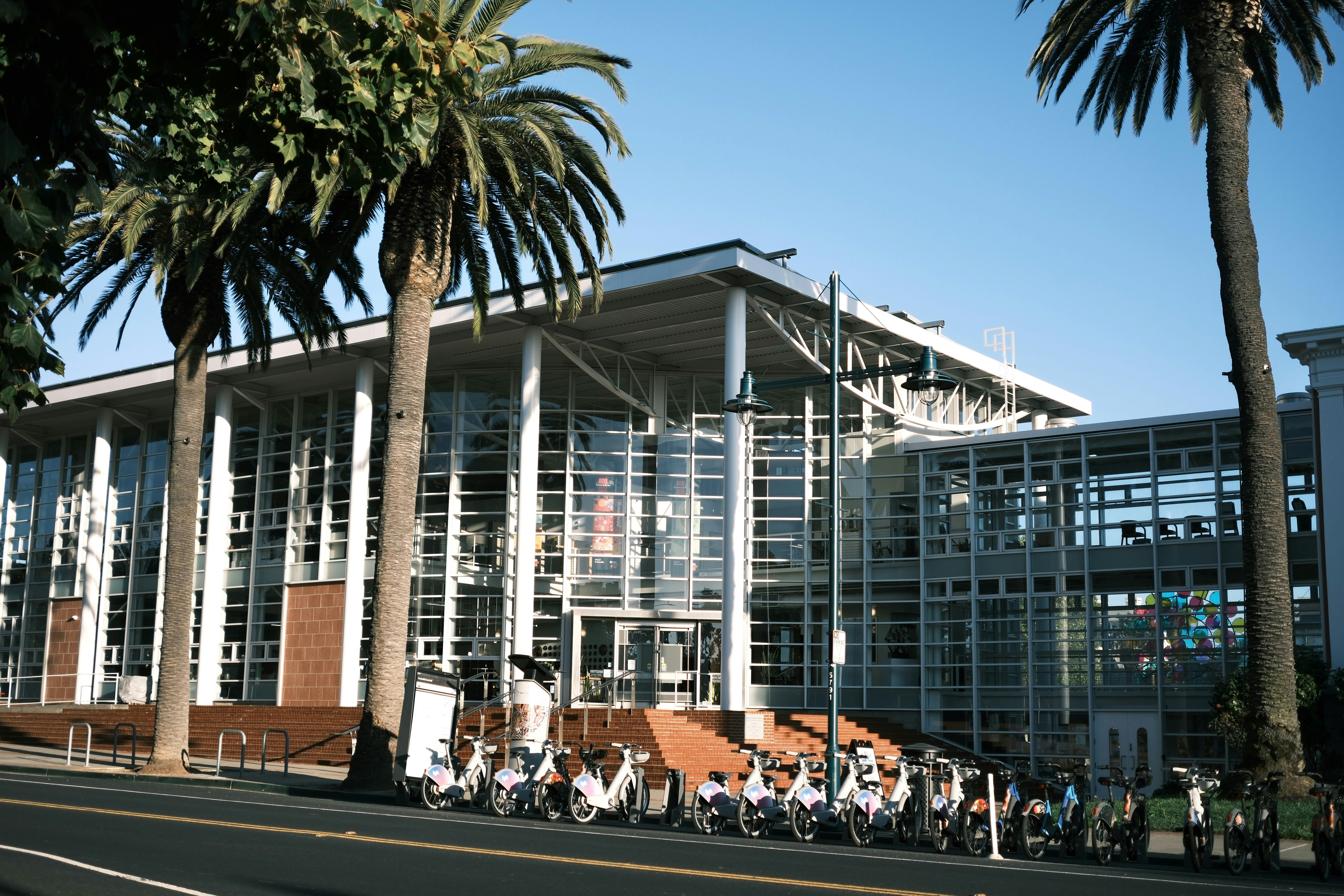 Palm-fringed campus plaza in front of a glass atrium