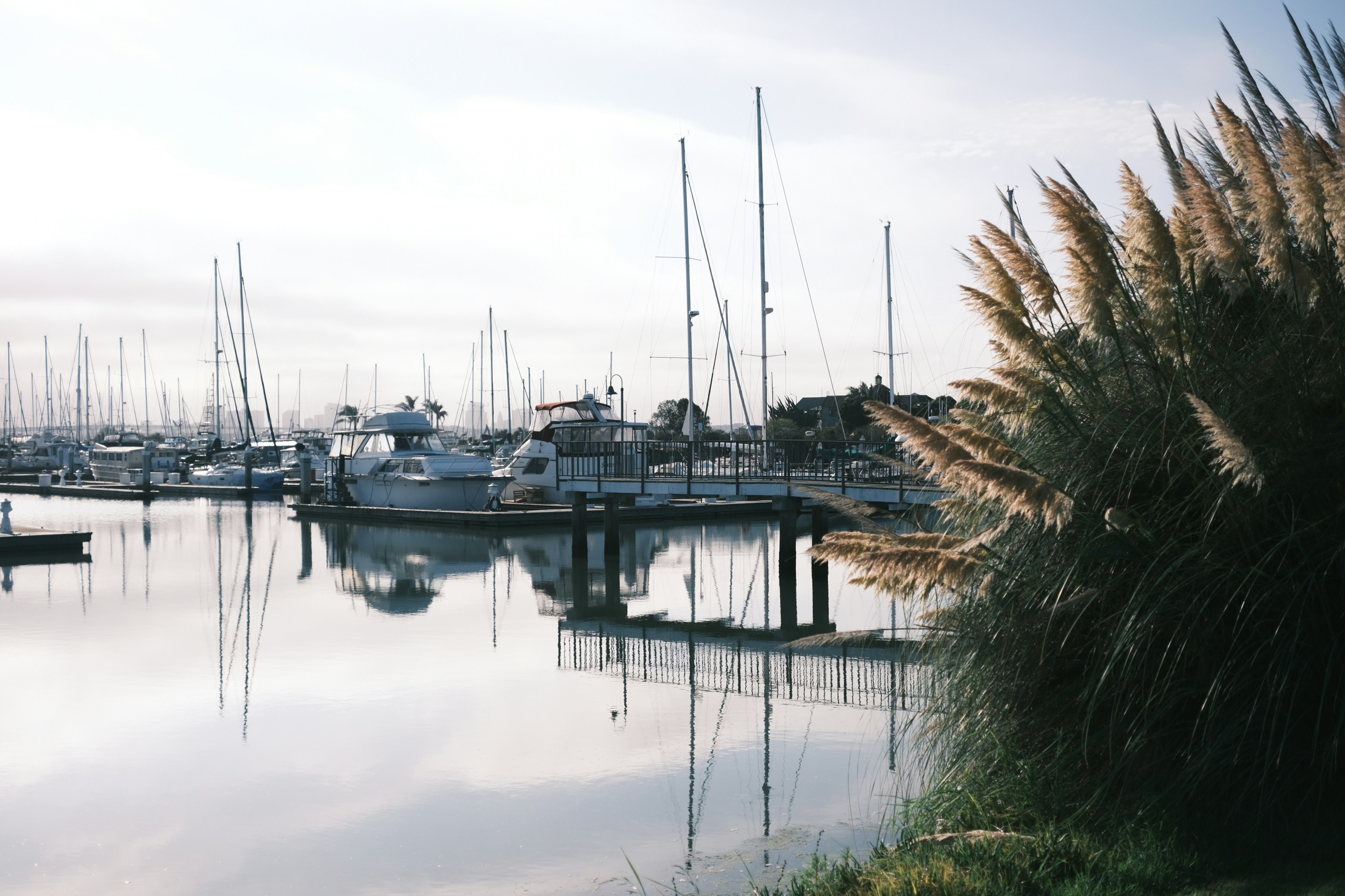 Misty Marina Reflections at Dusk