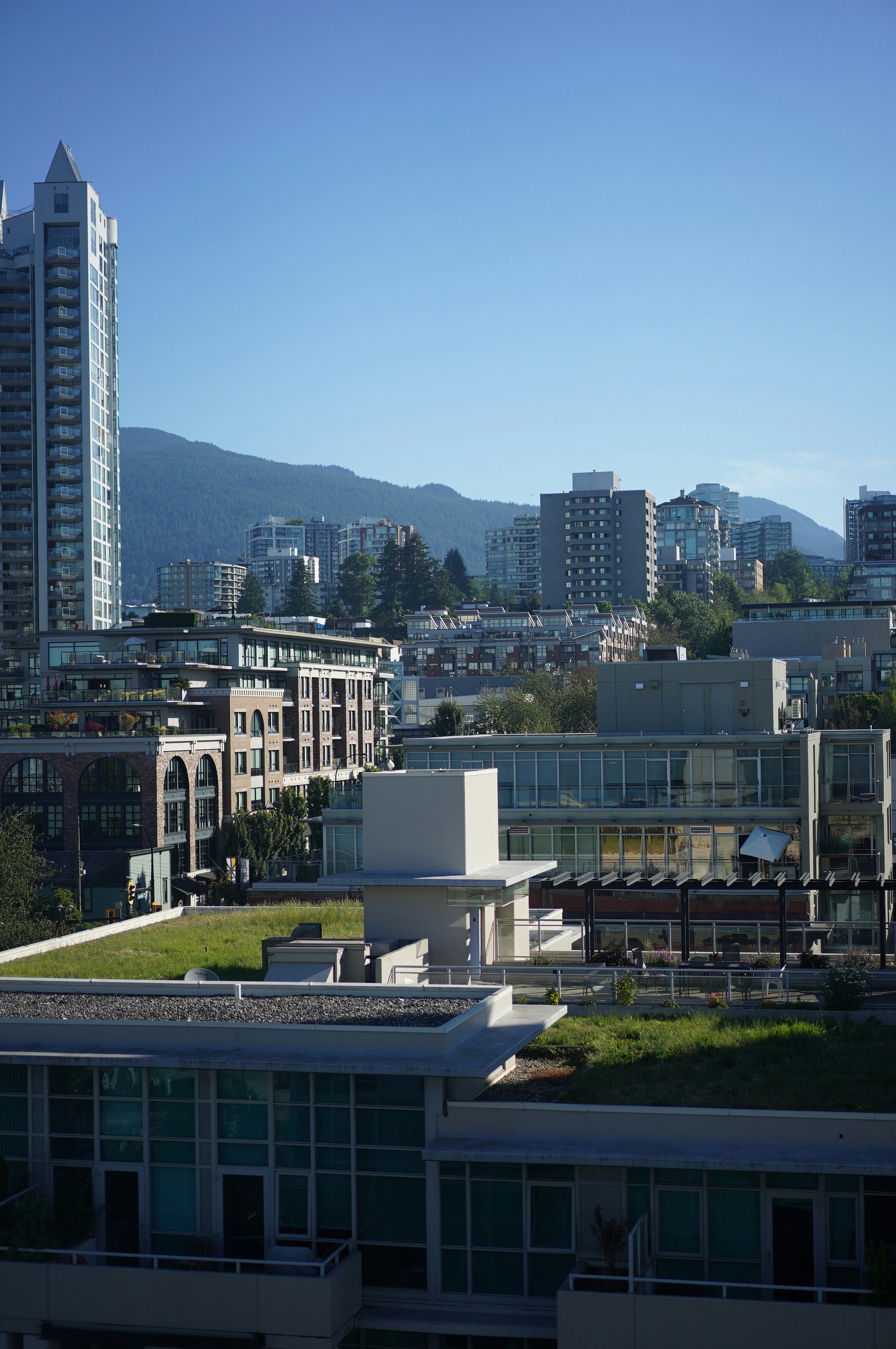 Urban panorama under a clear afternoon sky