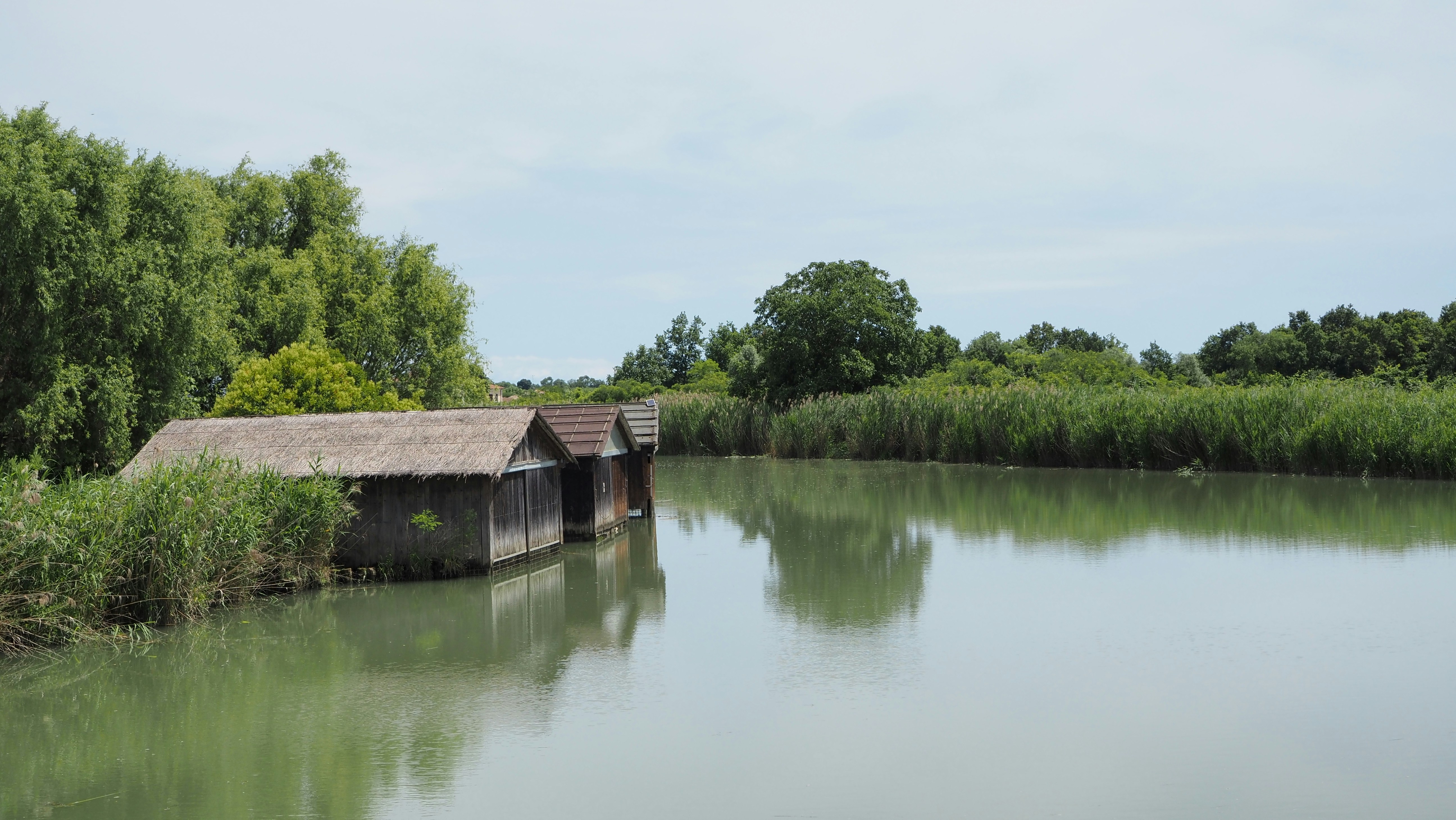 Heron’s Rest: Blue-Green Houseboats on a Quiet Lagoon