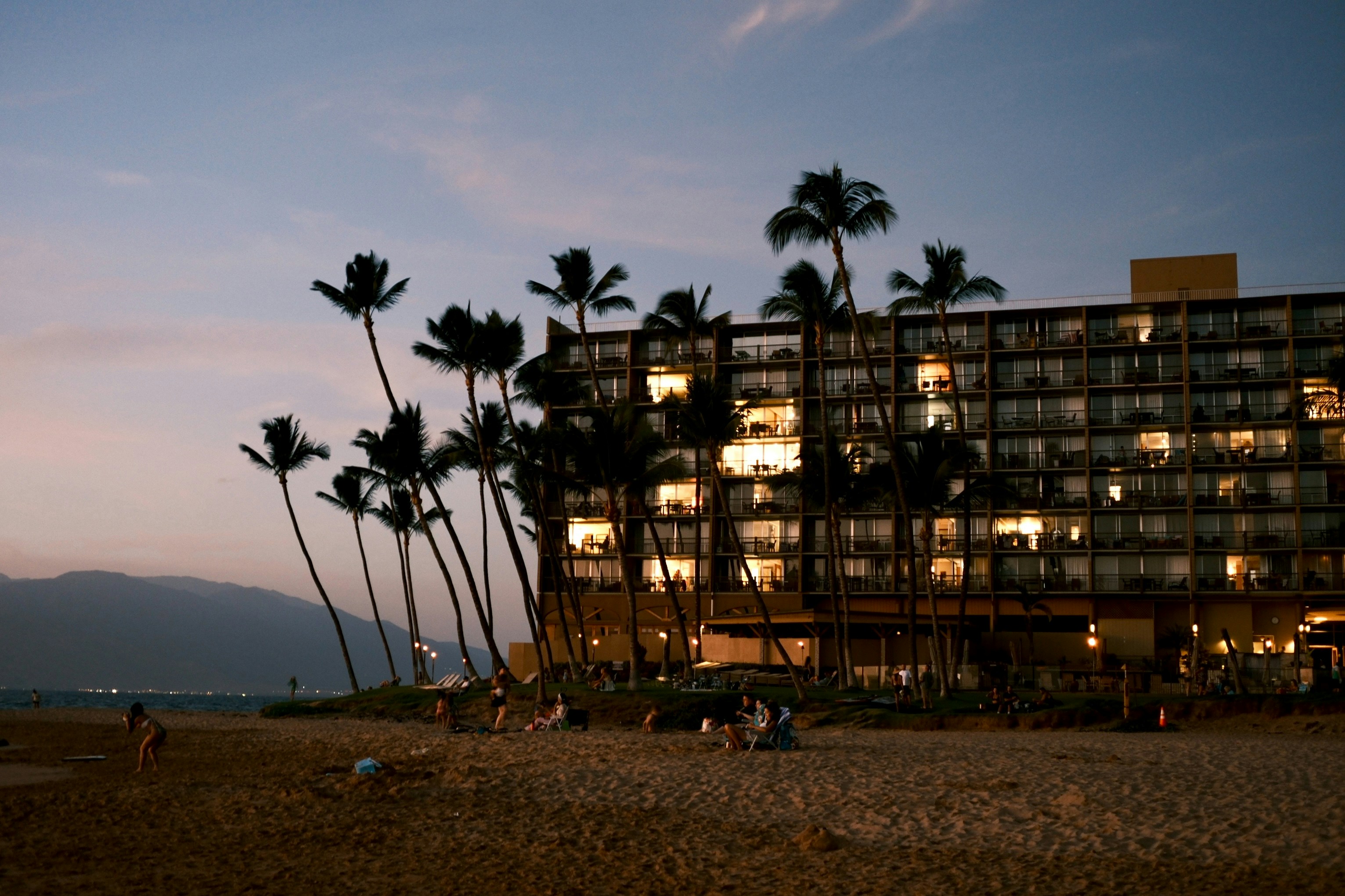 Beachfront Hotel Glow: Palm Shadows and Evening Lights