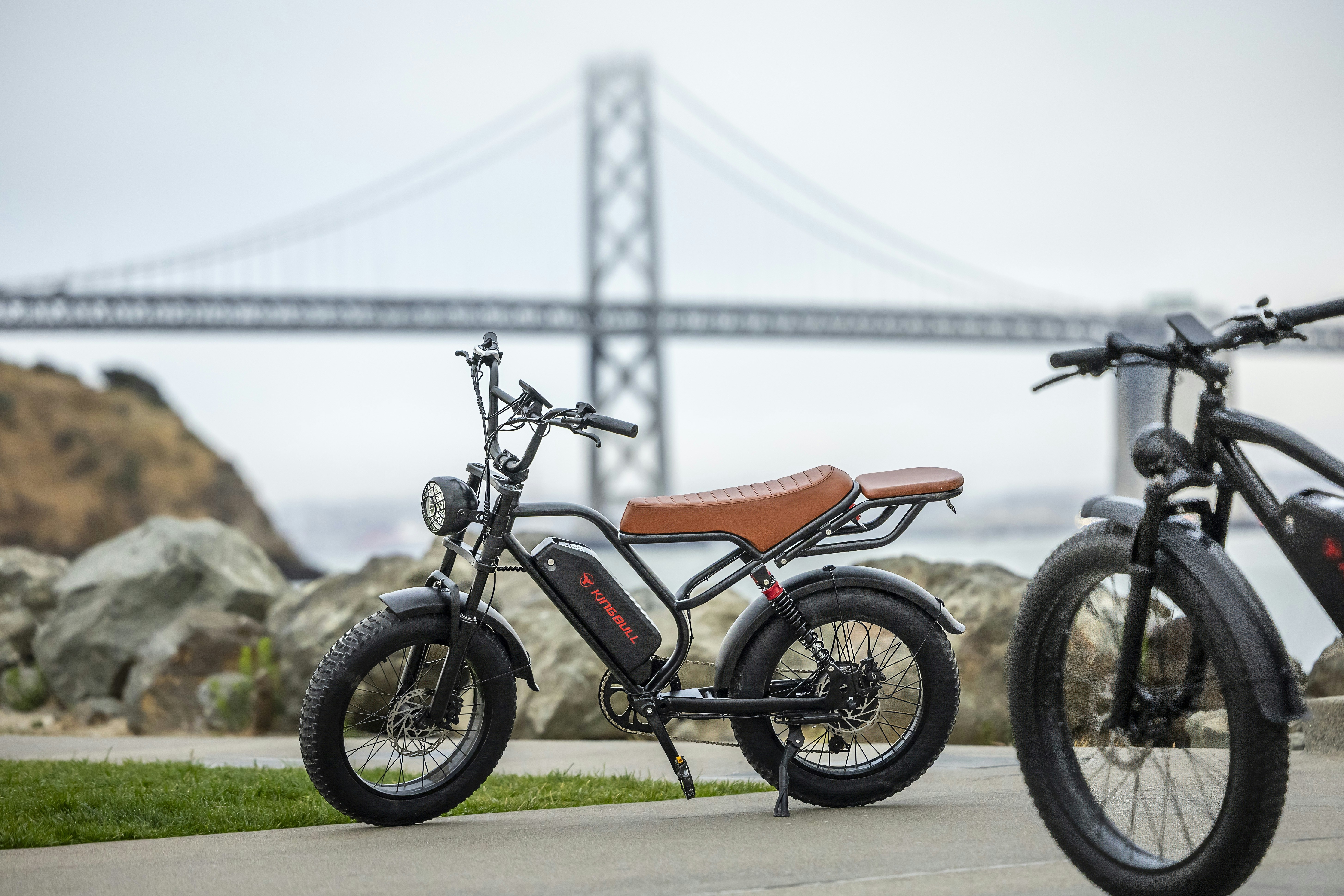 Electric Ride by the Bay: A Compact Electric Bike Anchored by the Shore
