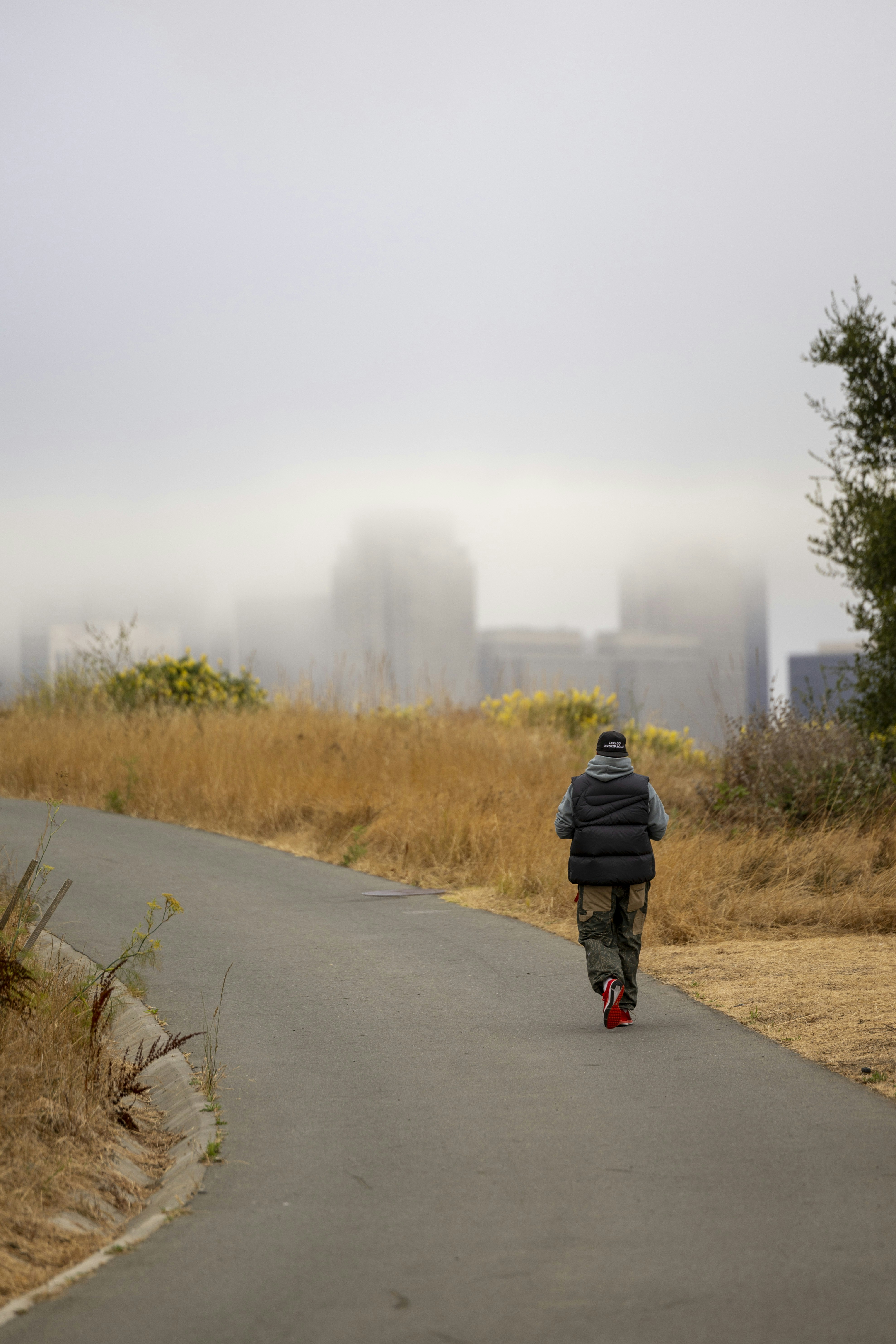 A Quiet Stride Toward the City Skyline