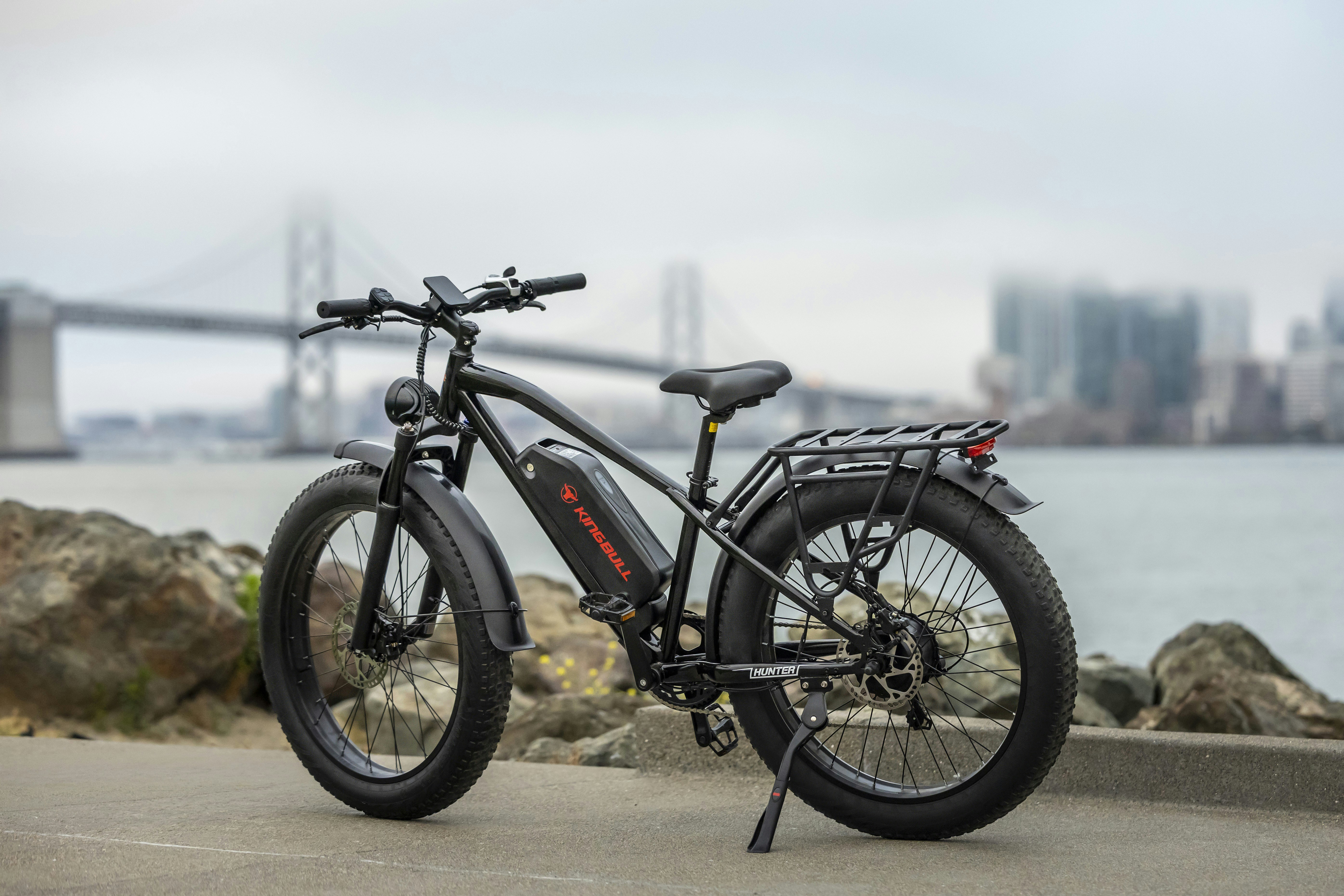 Electric City Trekker: A Bold Fat-Tired E-Bike by the Waterfront