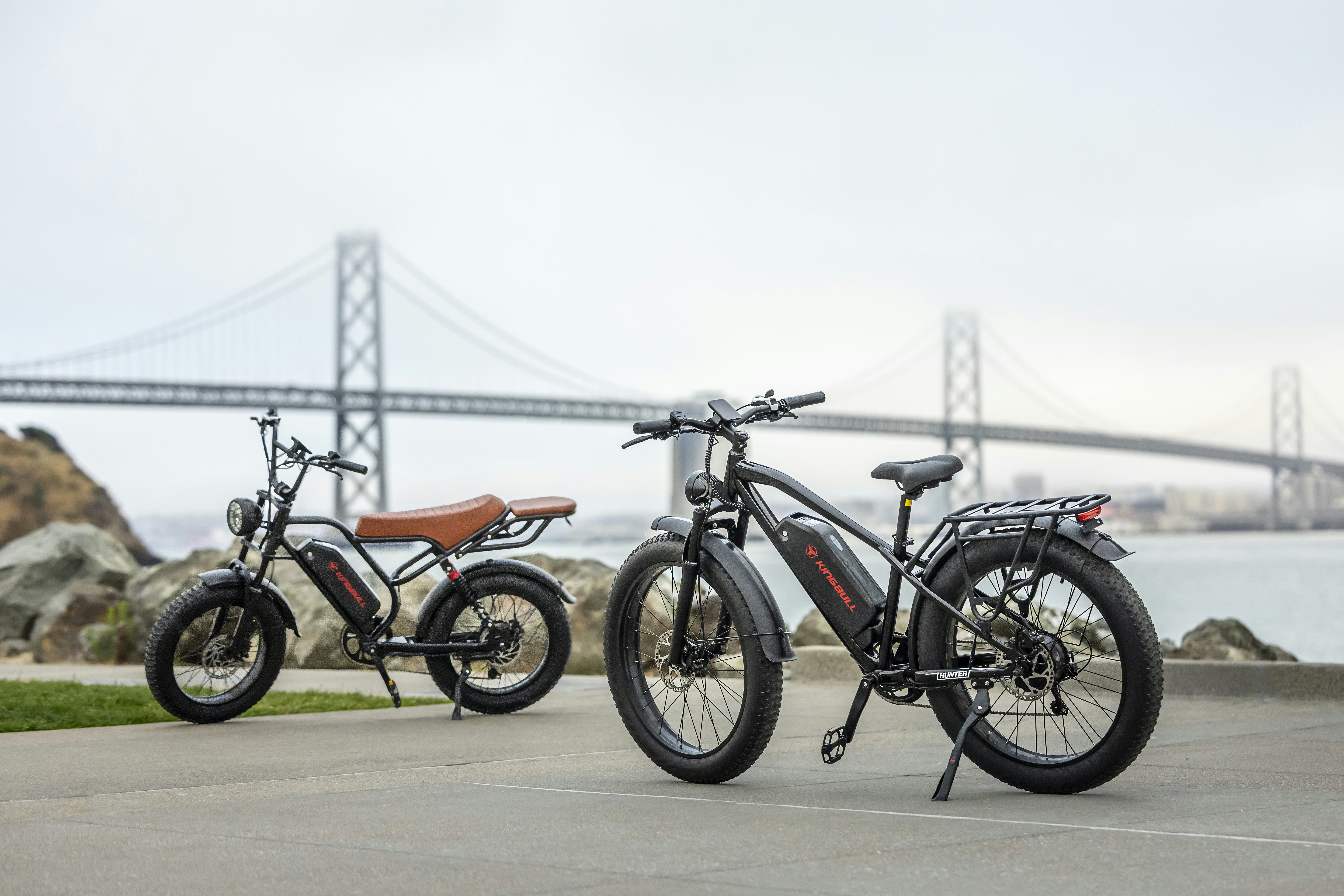 Two Electric Bicycles Rest Along the Bay with a Suspended Bridge in the Background