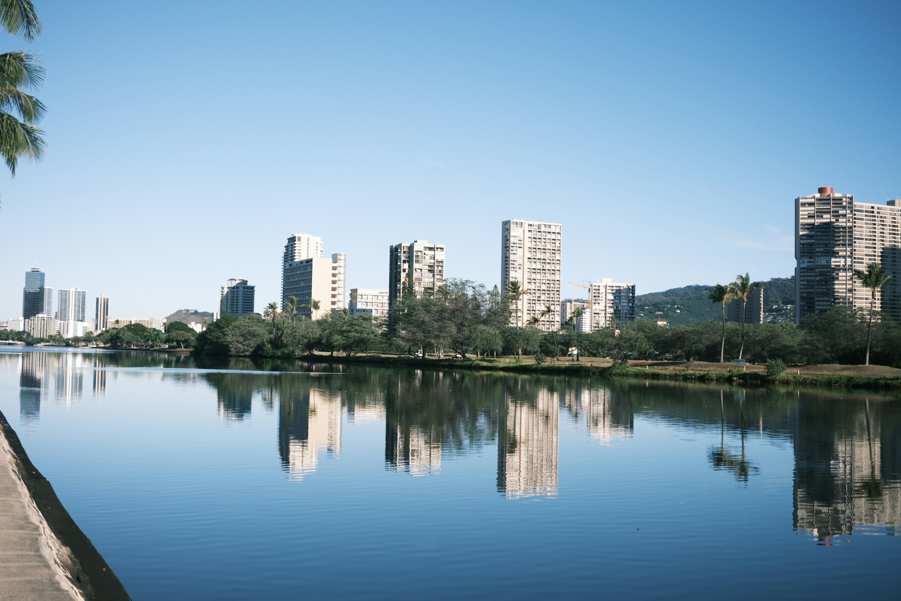 City skyline mirrored: calm riverside with tall buildings and palm silhouettes