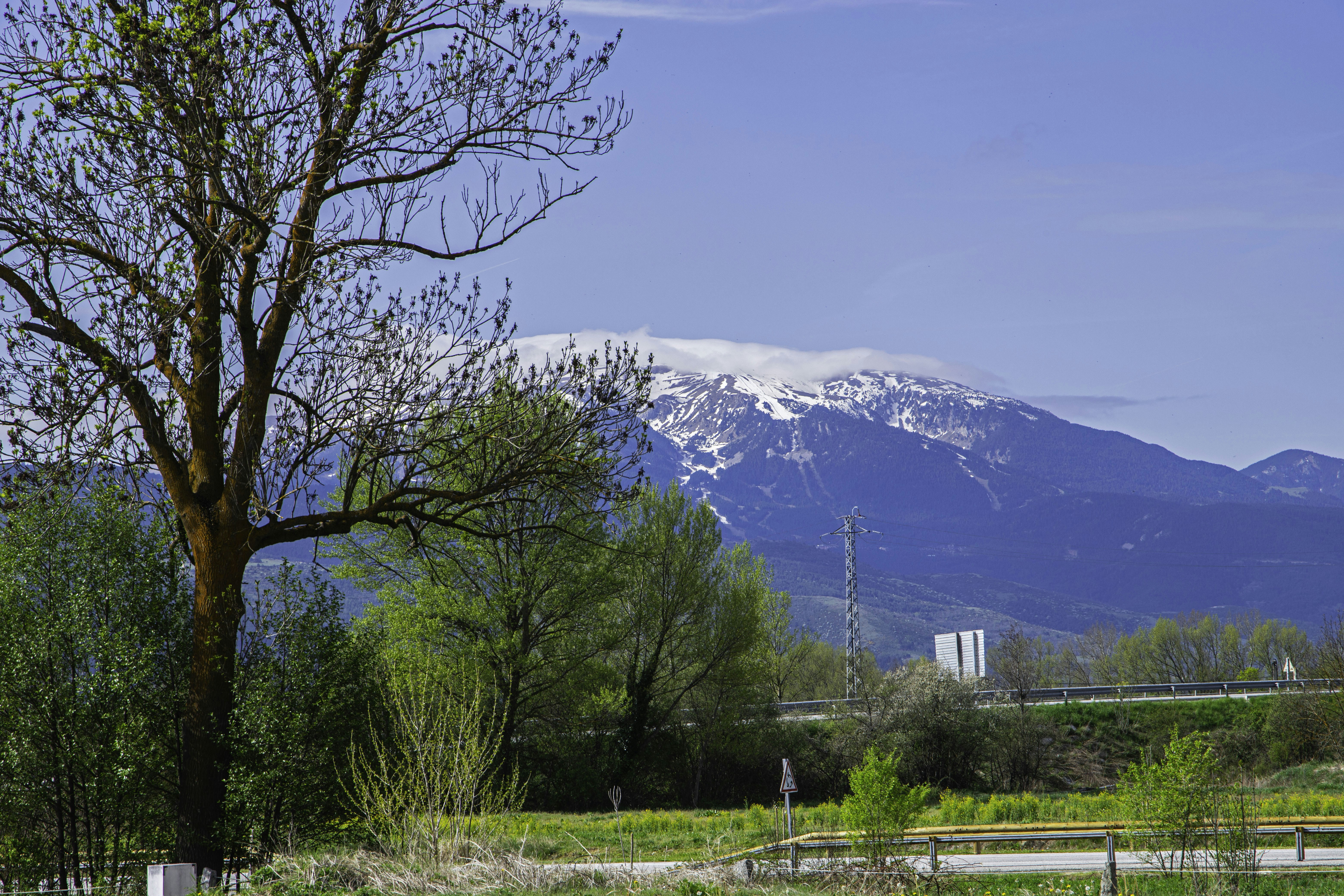 Quiet valley beneath snow-dusted peaks with a solitary tree in the foreground