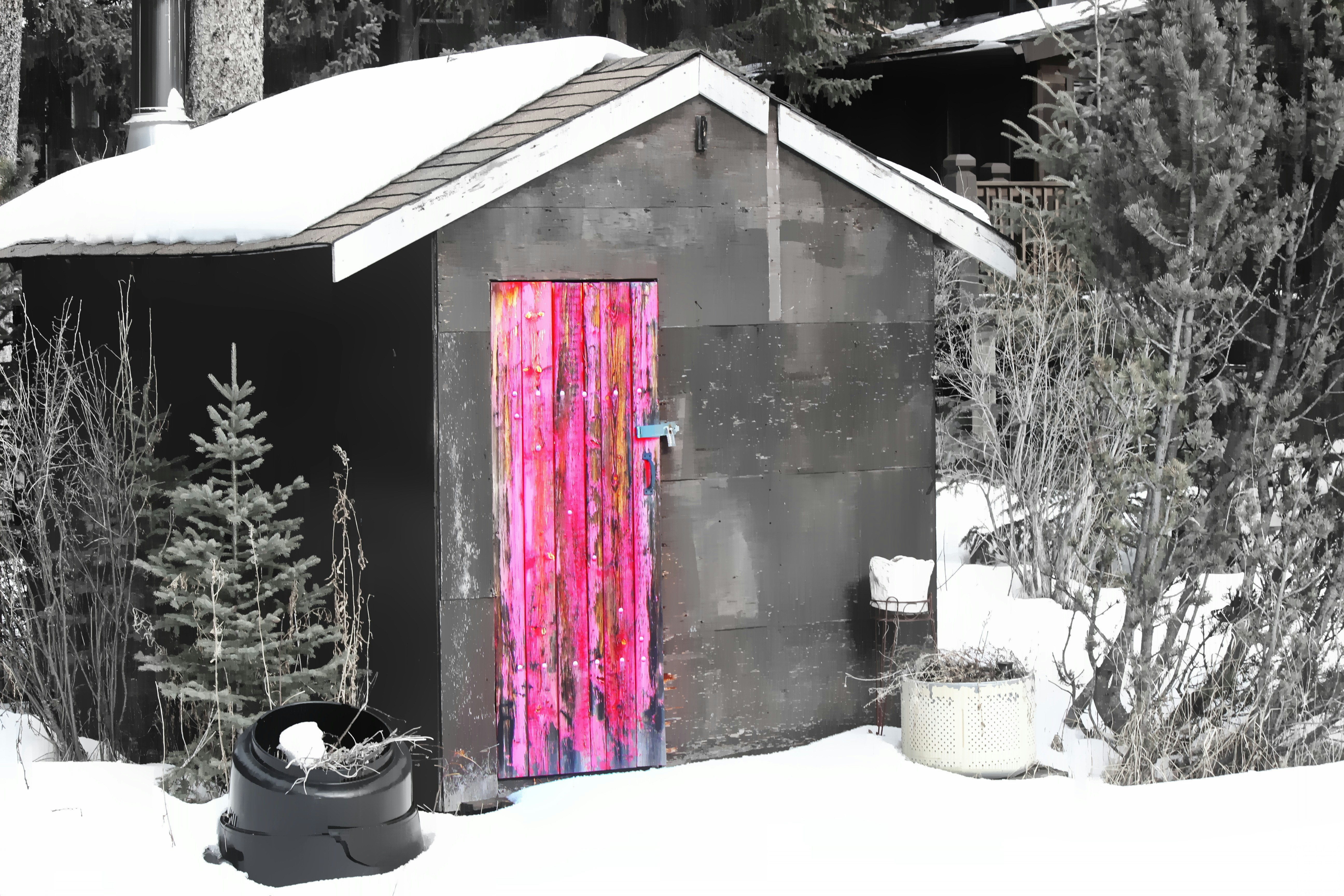 Pink Door in a Snowbound Shed