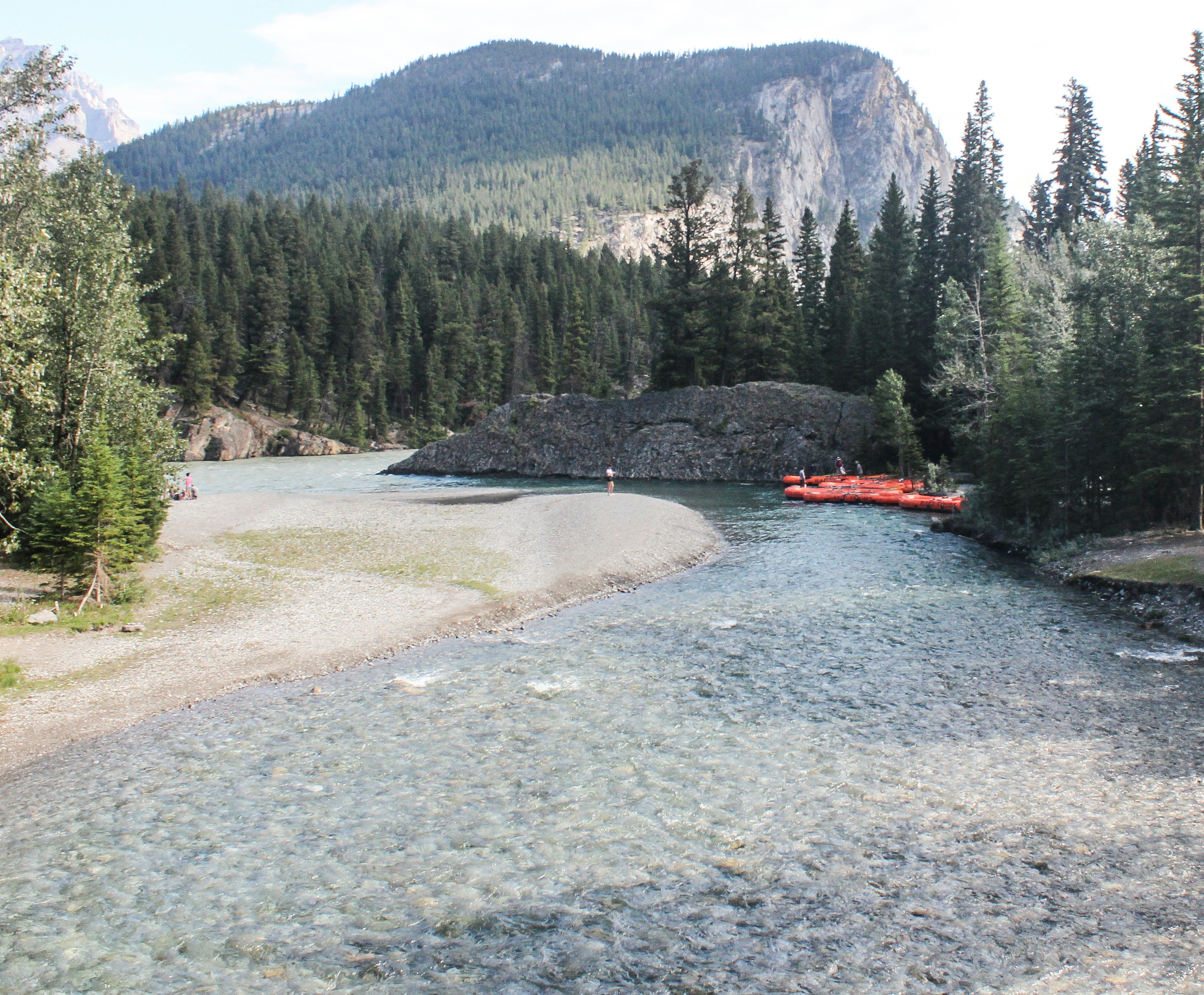 Crystal Channel Through the Pines: A Mountain River Portrait