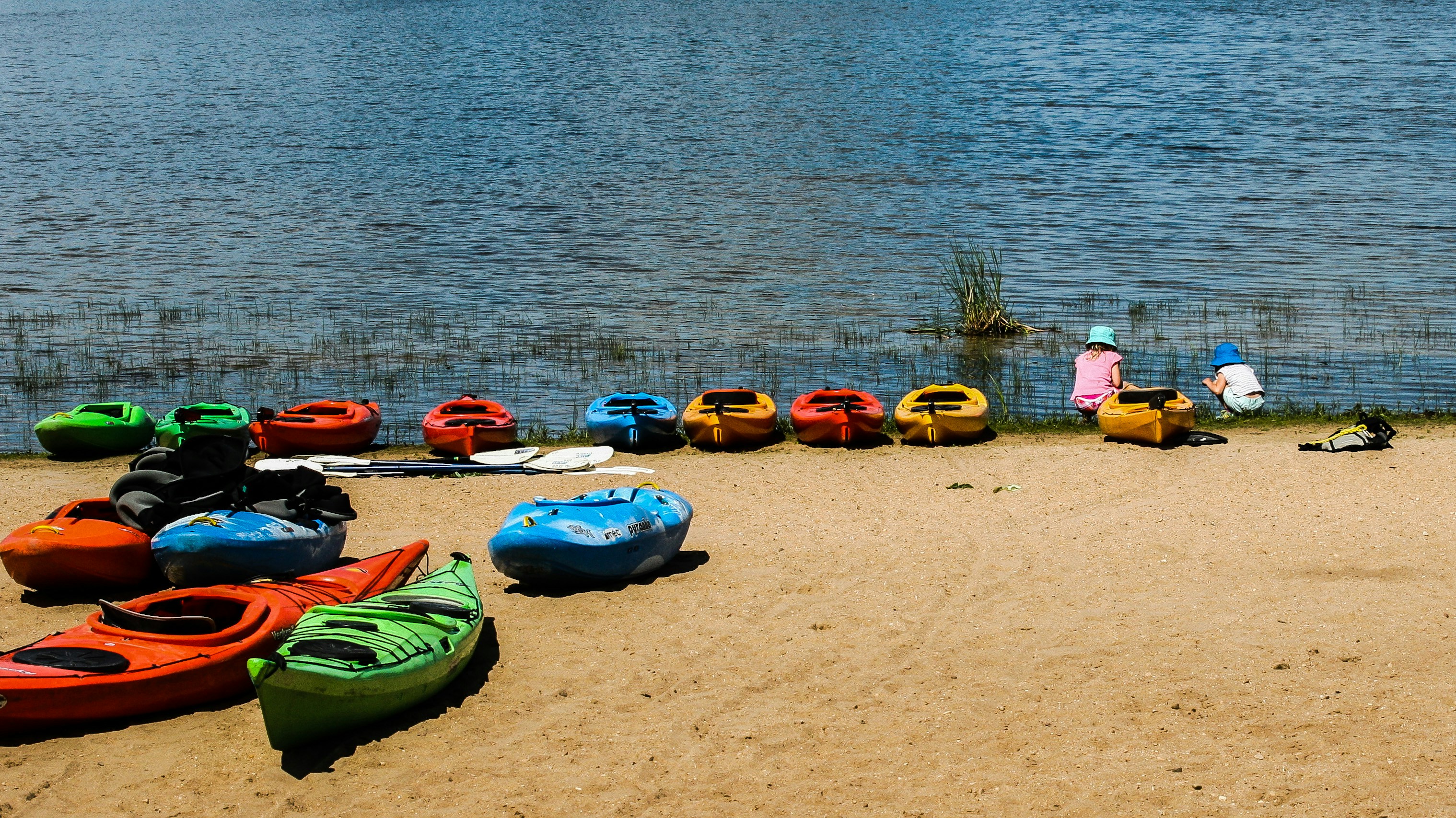 Row of Colorful Kayaks Resting Along a Quiet Lakeshore
