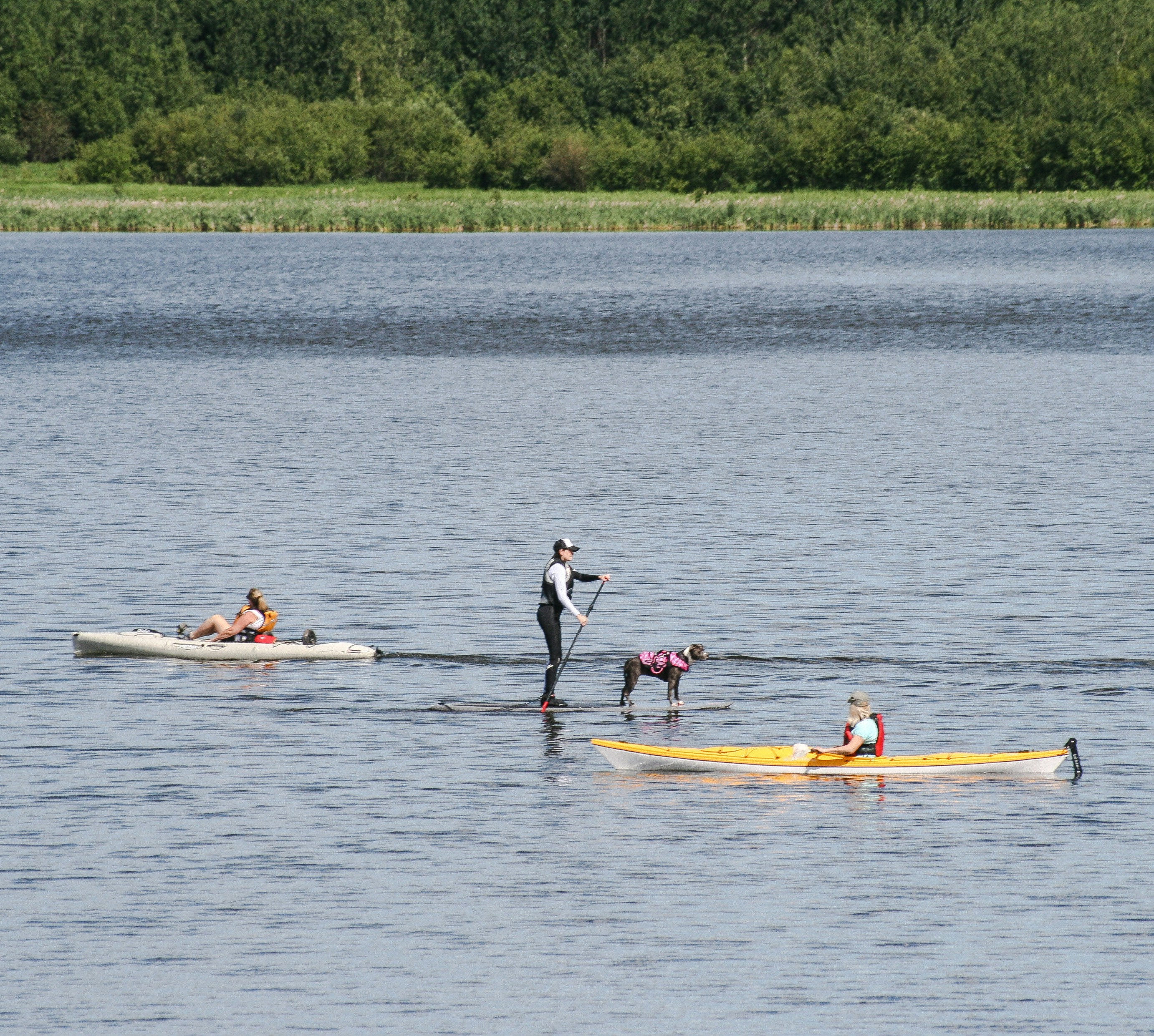 Paddleboarders and kayakers drifting on a tranquil lake
