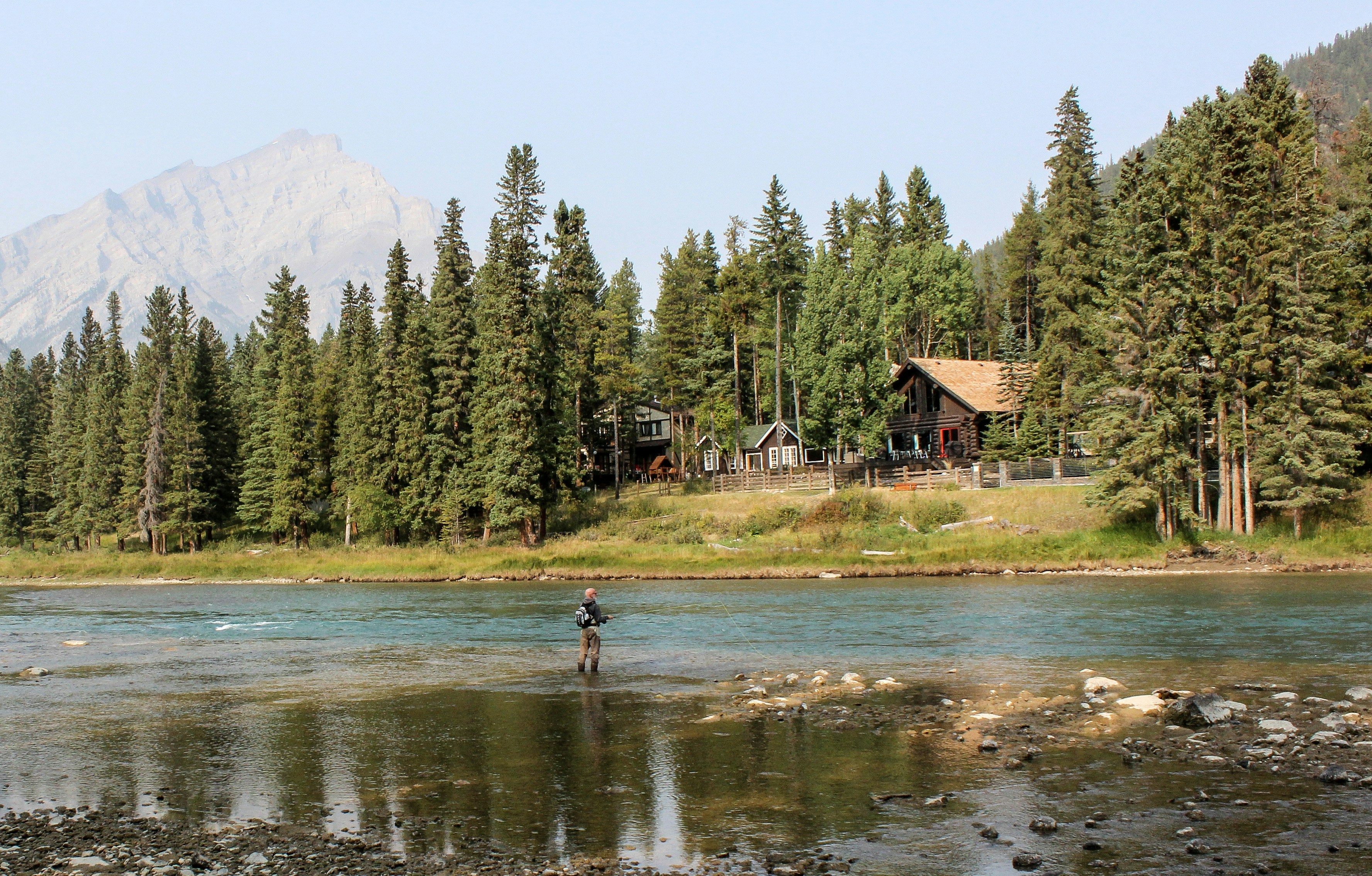 Fisherman On a Riverwide Stroll Between Pines