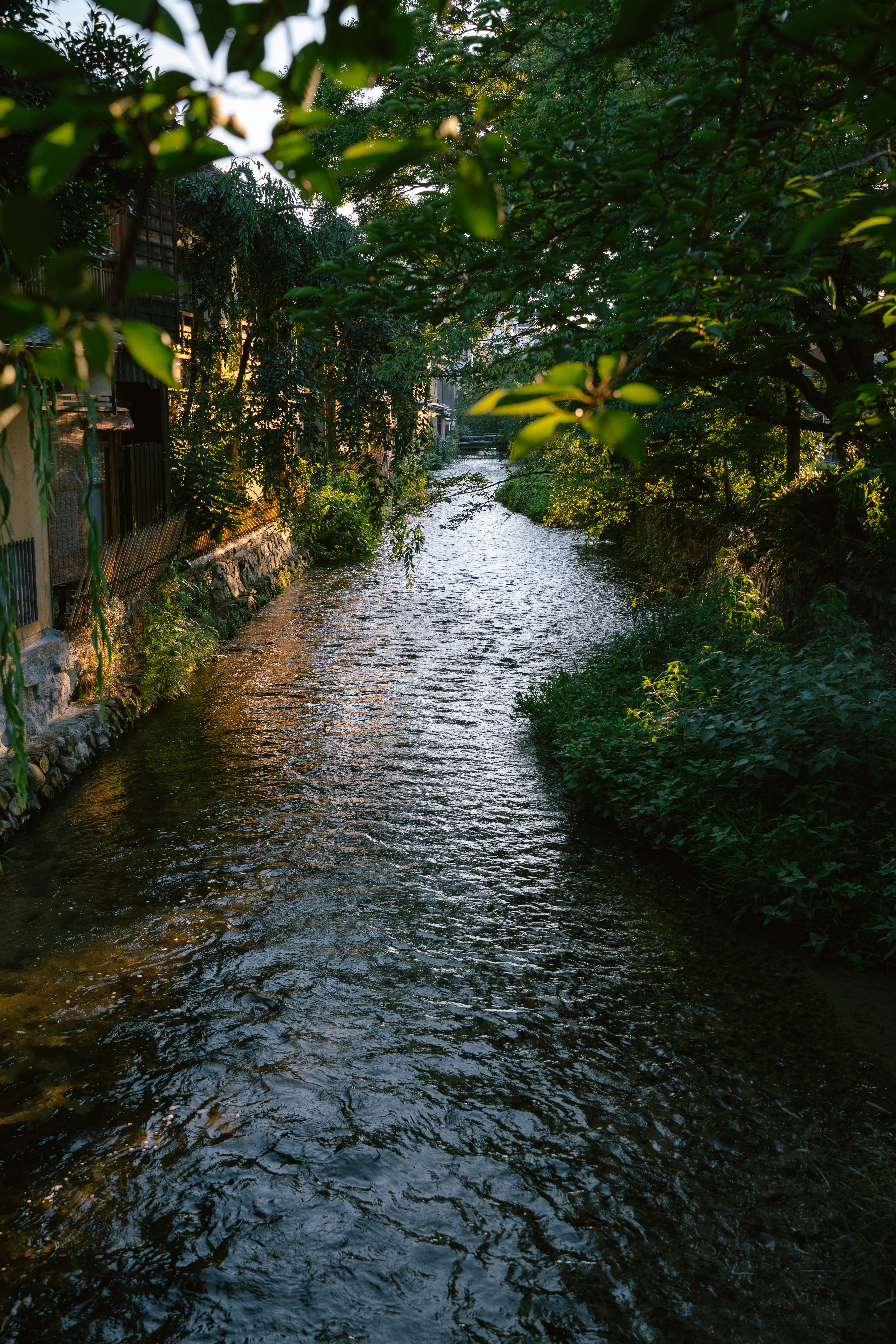Sunlit Channel: A Quiet River Winding Through a Green Alley