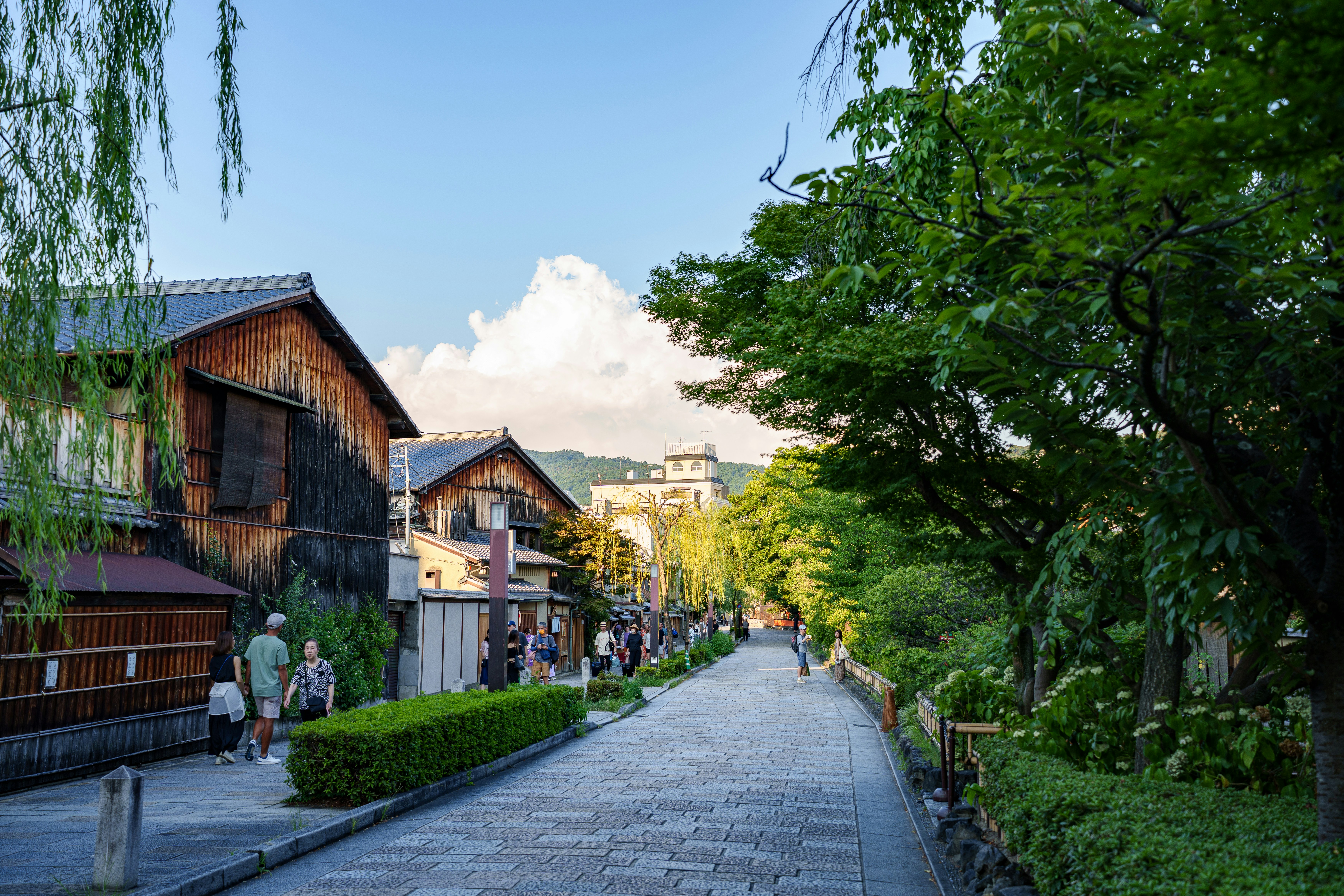 Riverside Streetwalker: A Quiet Corridor Between Past and Present