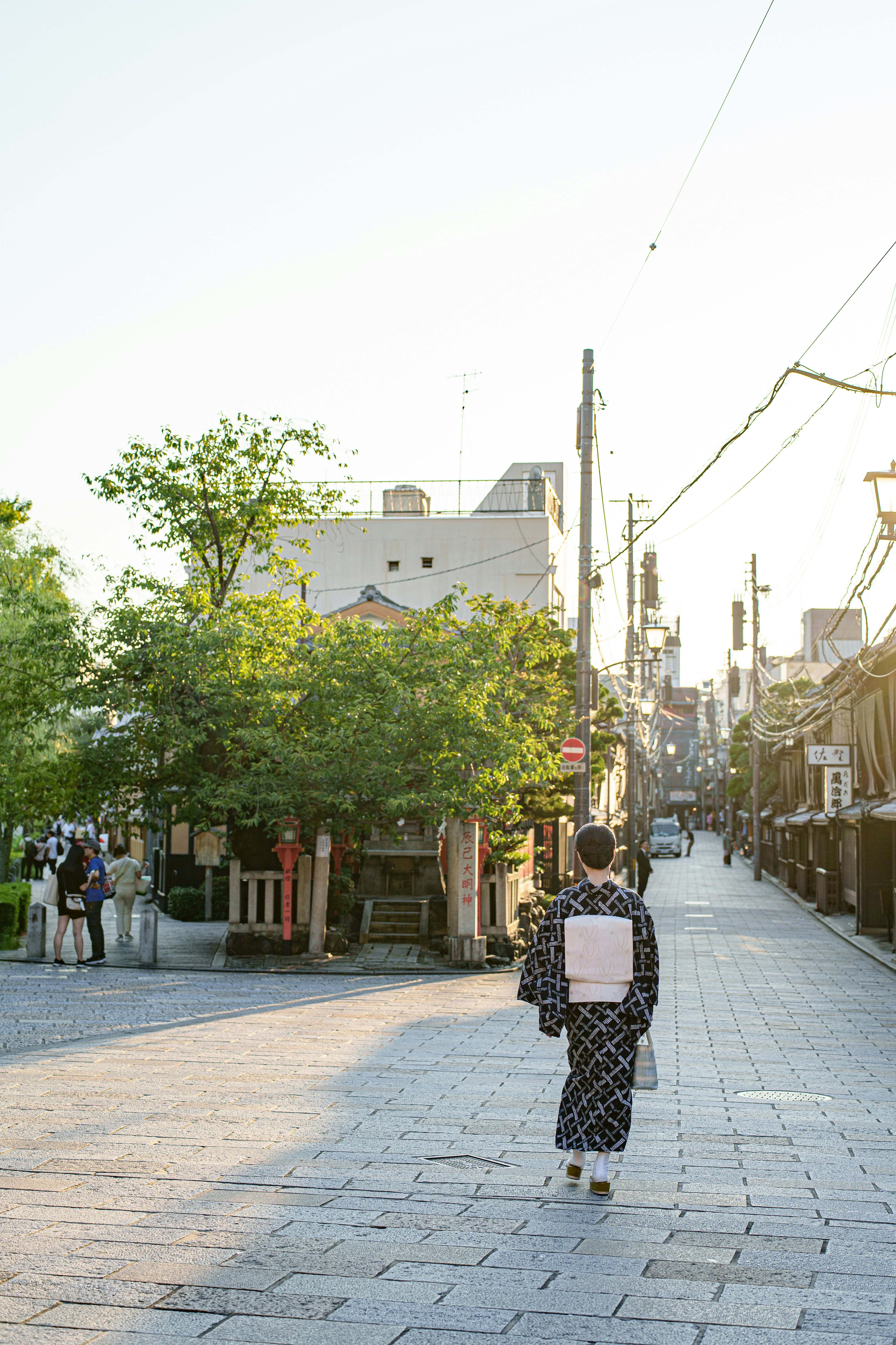 Photo by PJH with Sony Alpha 7 IV