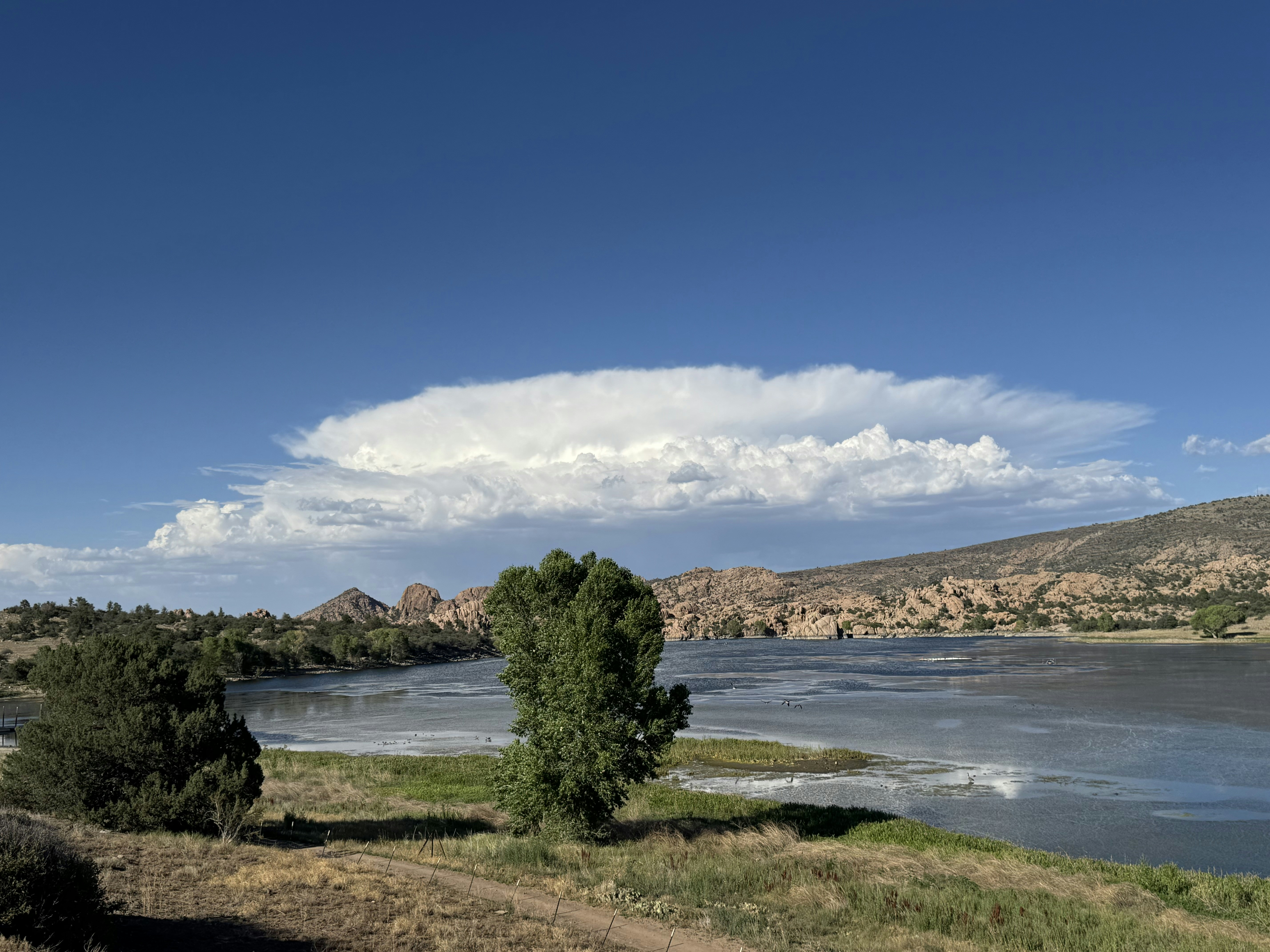 Oasis by the Lake: A Quiet Riverside Vista Under Wide Skies