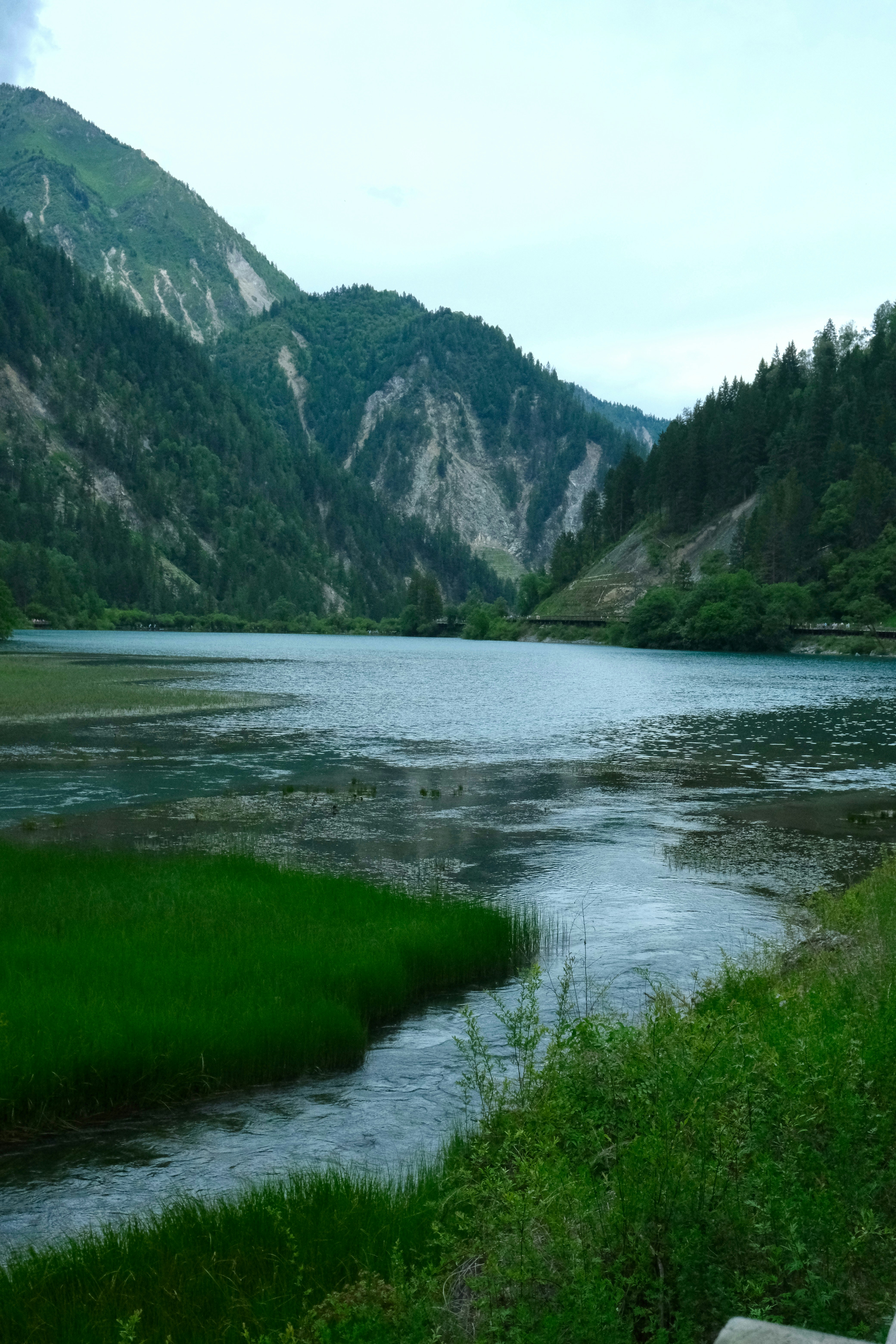 Serene Alpine Lake Between Verdant Slopes
