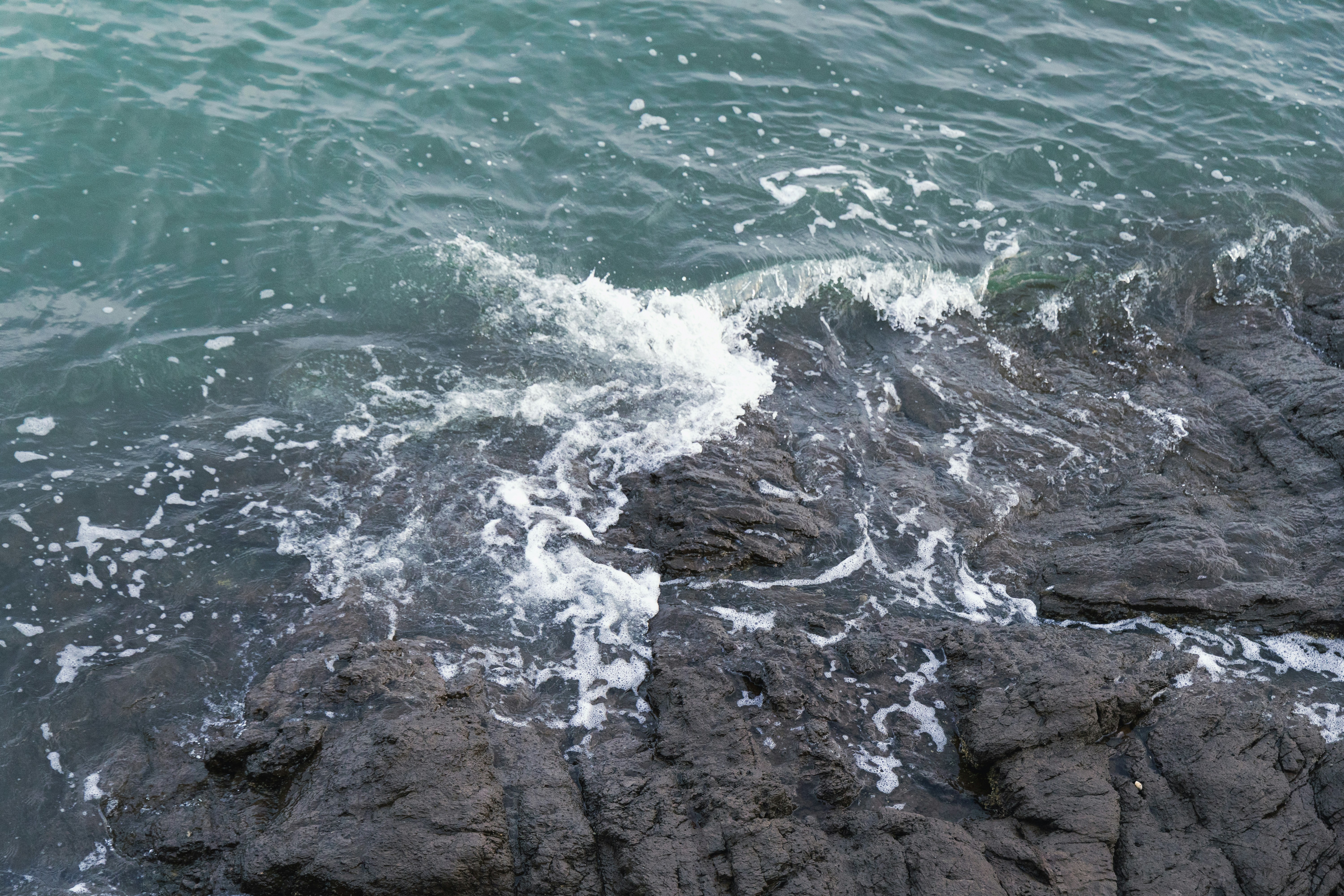 Rugged shoreline: foam kissing weathered basalt at the edge of green-tinged surf