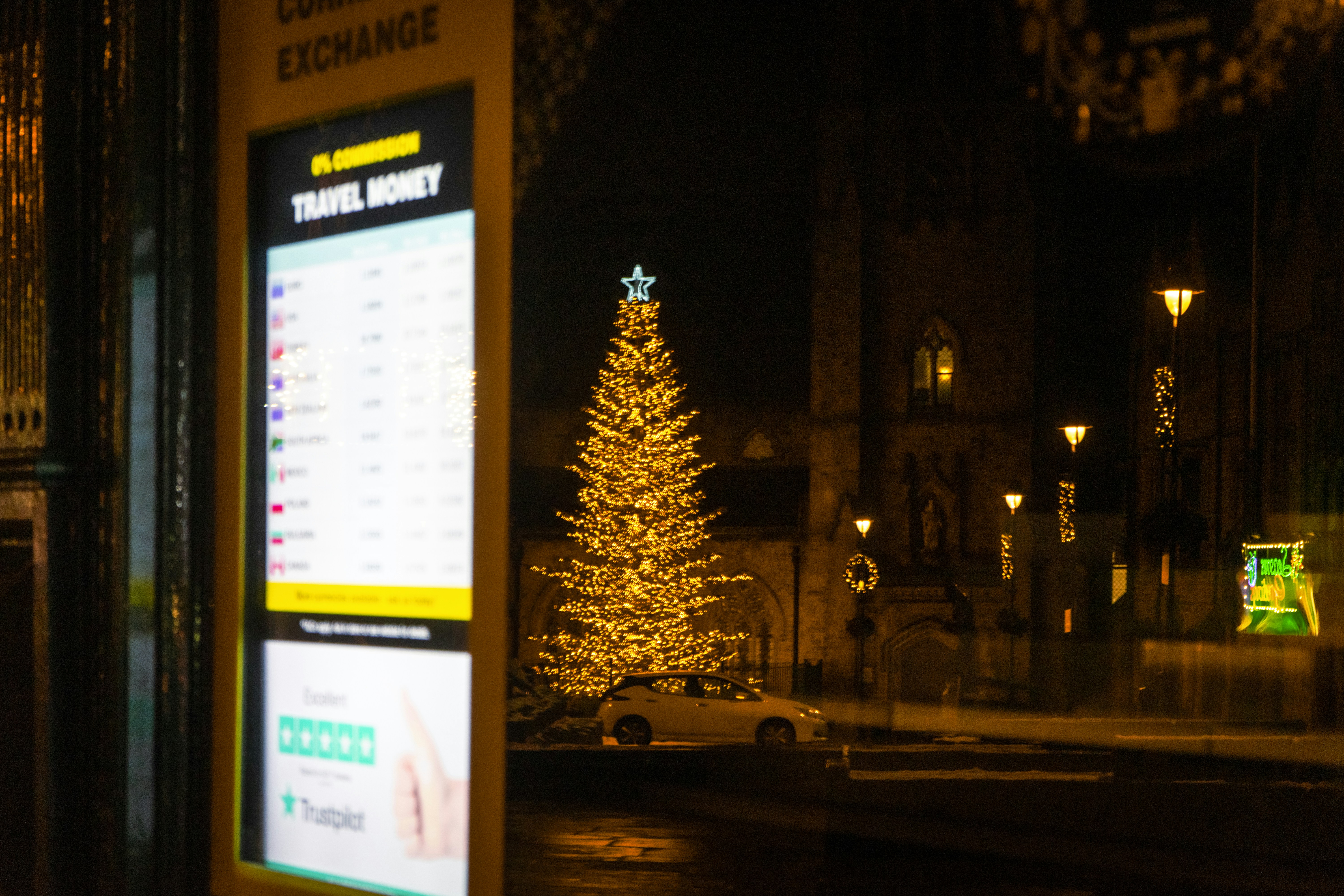 Golden Tree Under Night City Glow